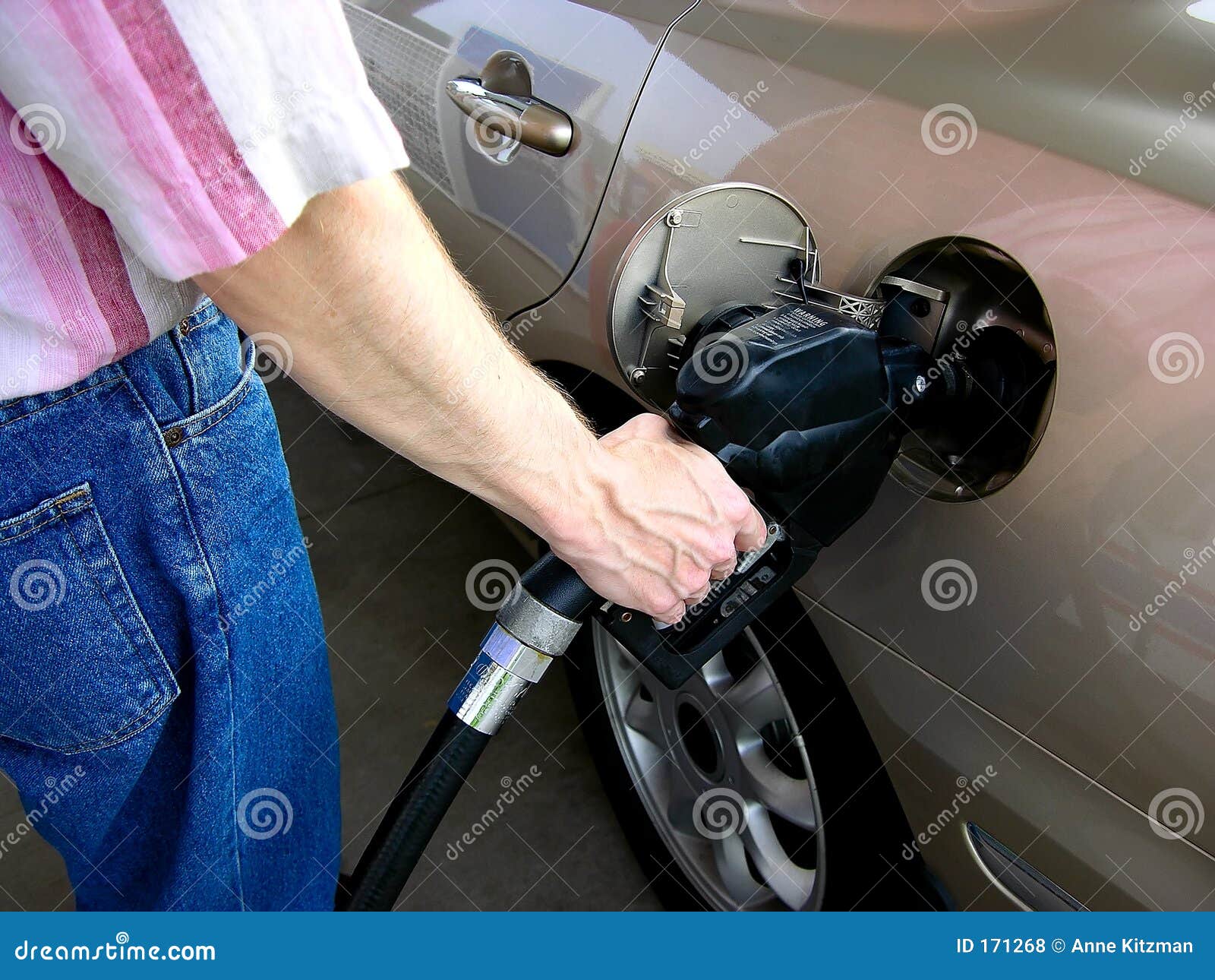 Pumping Gas stock photo. Image of pumping, instructions - 171268