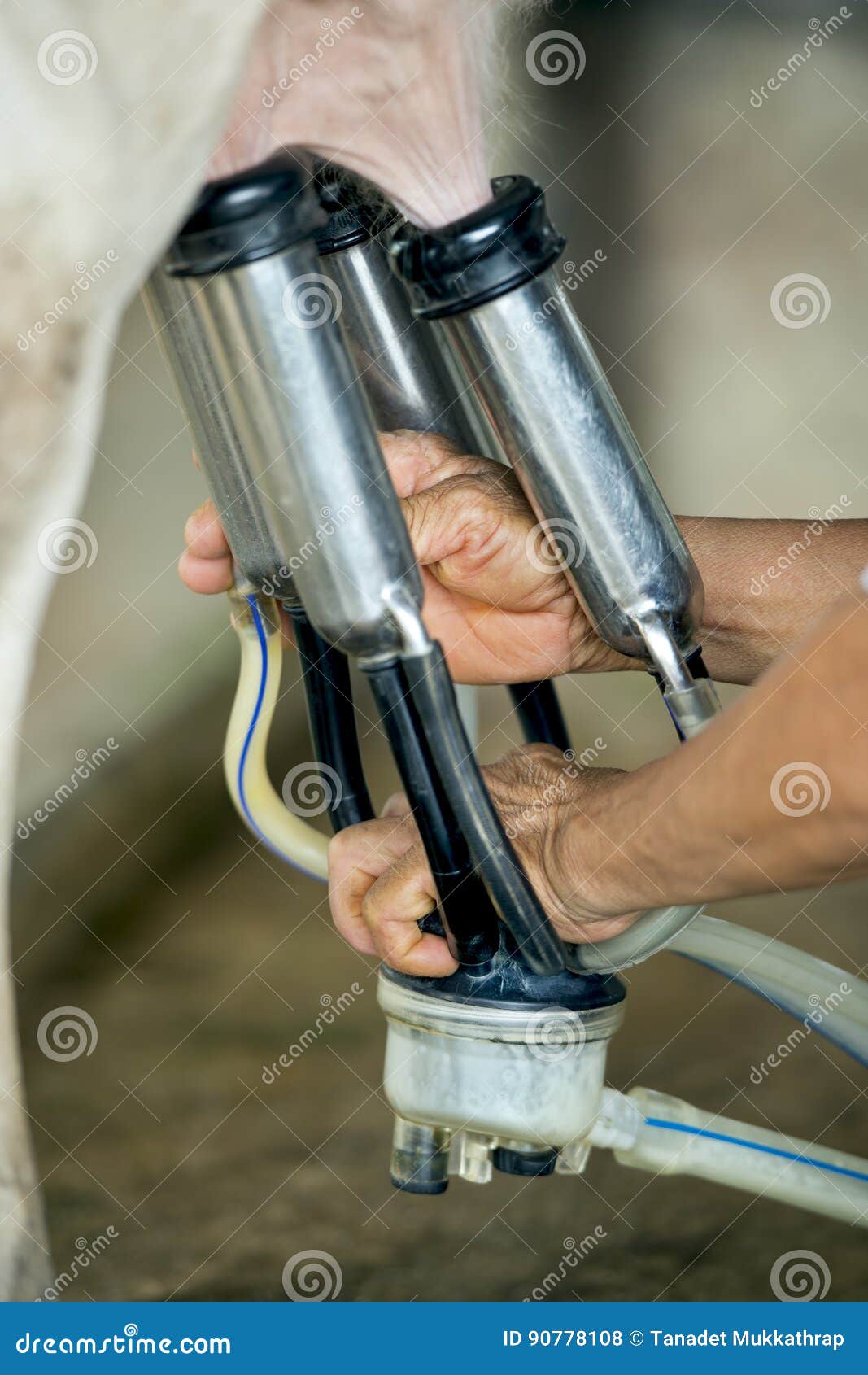 Pumping milk by machine stock photo. Image of person - 90778108