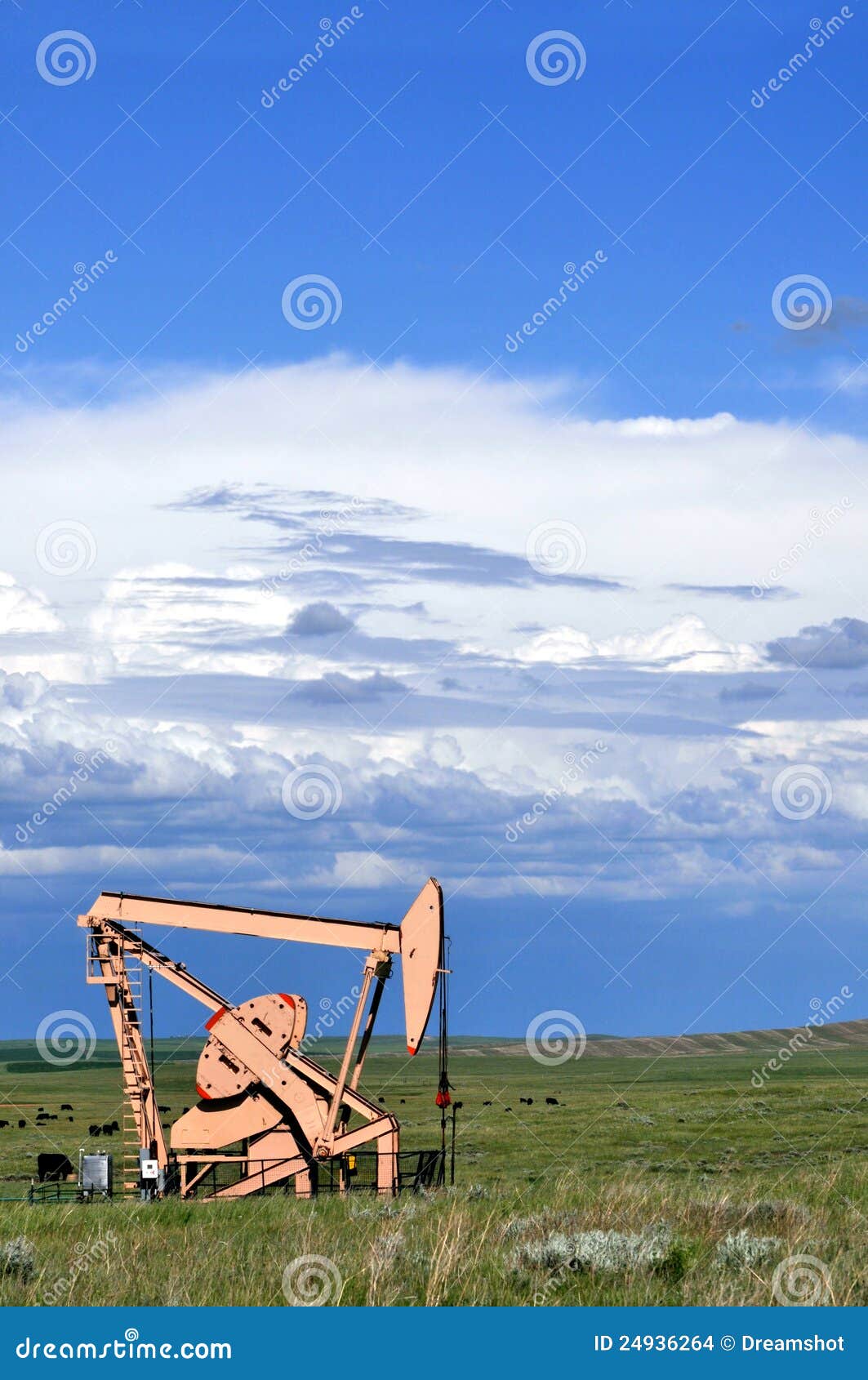 Pumping oil in the U.S. stock photo. Image of rural, energy - 24936264