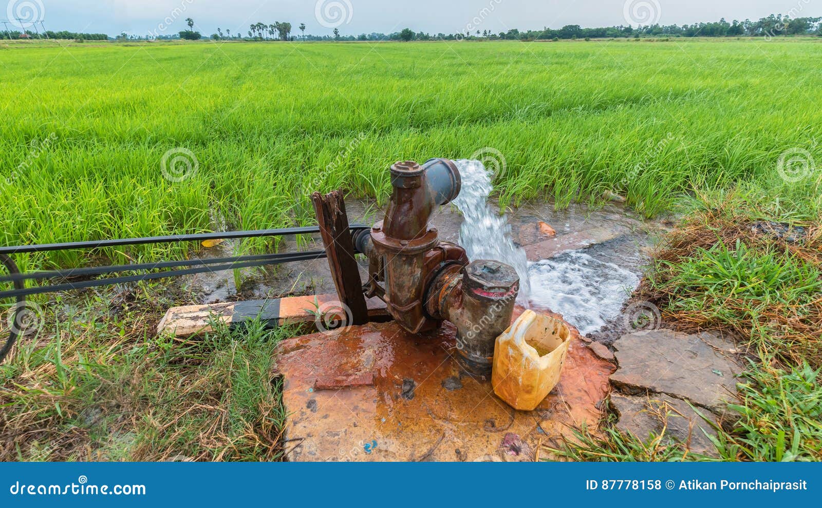 Pumping water stock photo. Image of green, connect, device - 87778158