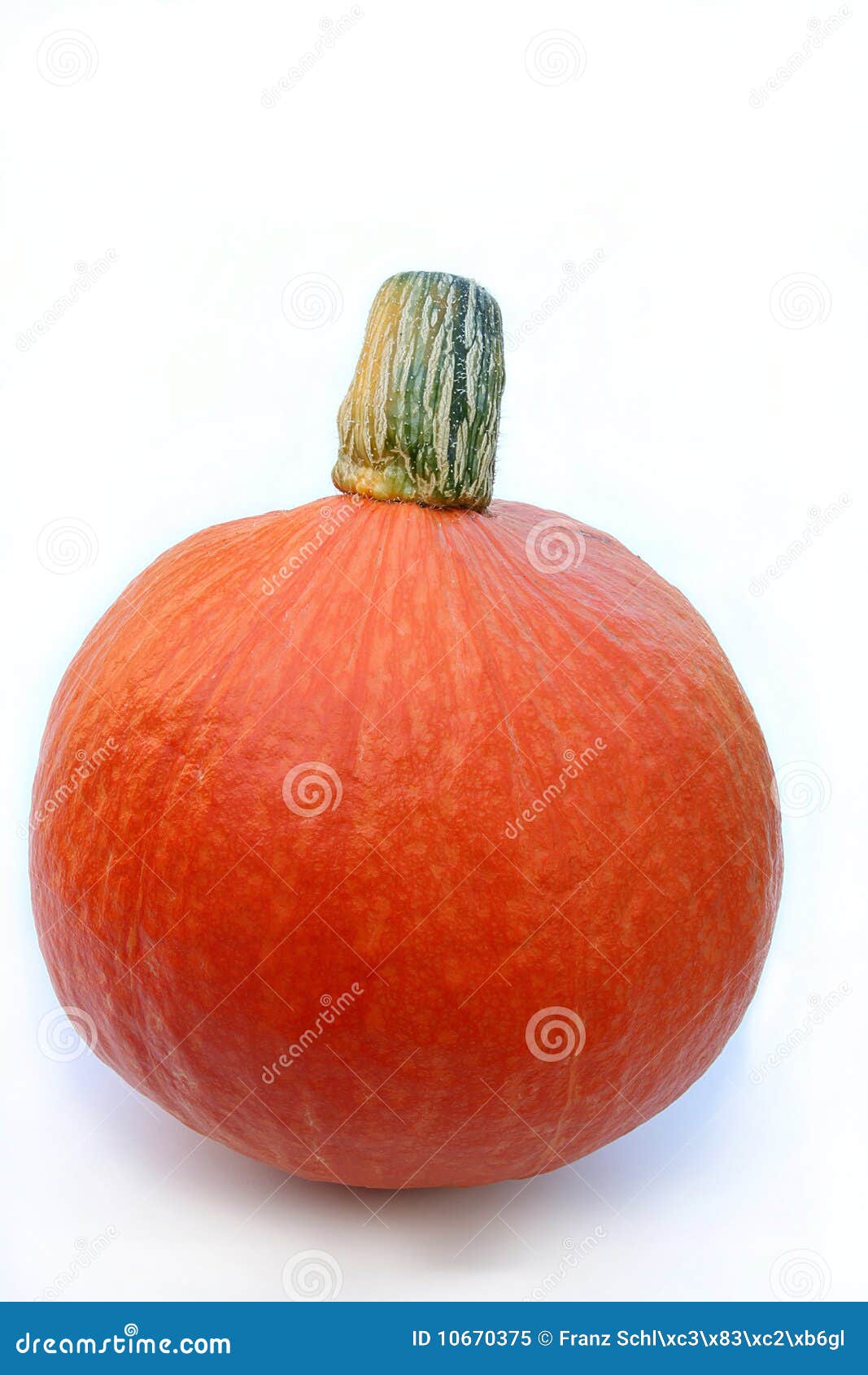 Pumpkin stock image. Image of colour, pumpkins, single - 10670375