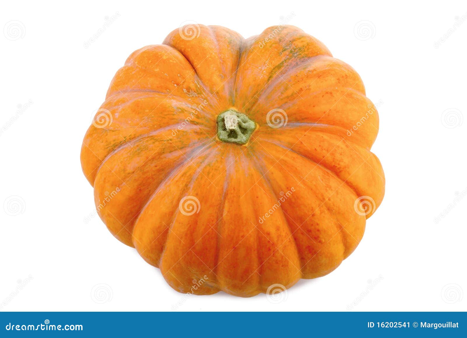 Isolated Pumpink Stock Photos - Free & Royalty-Free Stock Photos from ...