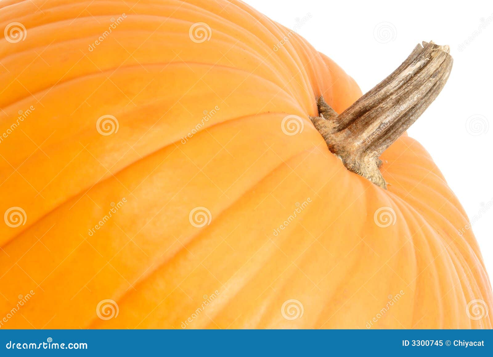 Pumpkin stock image. Image of orange, thanksgiving, halloween - 3300745