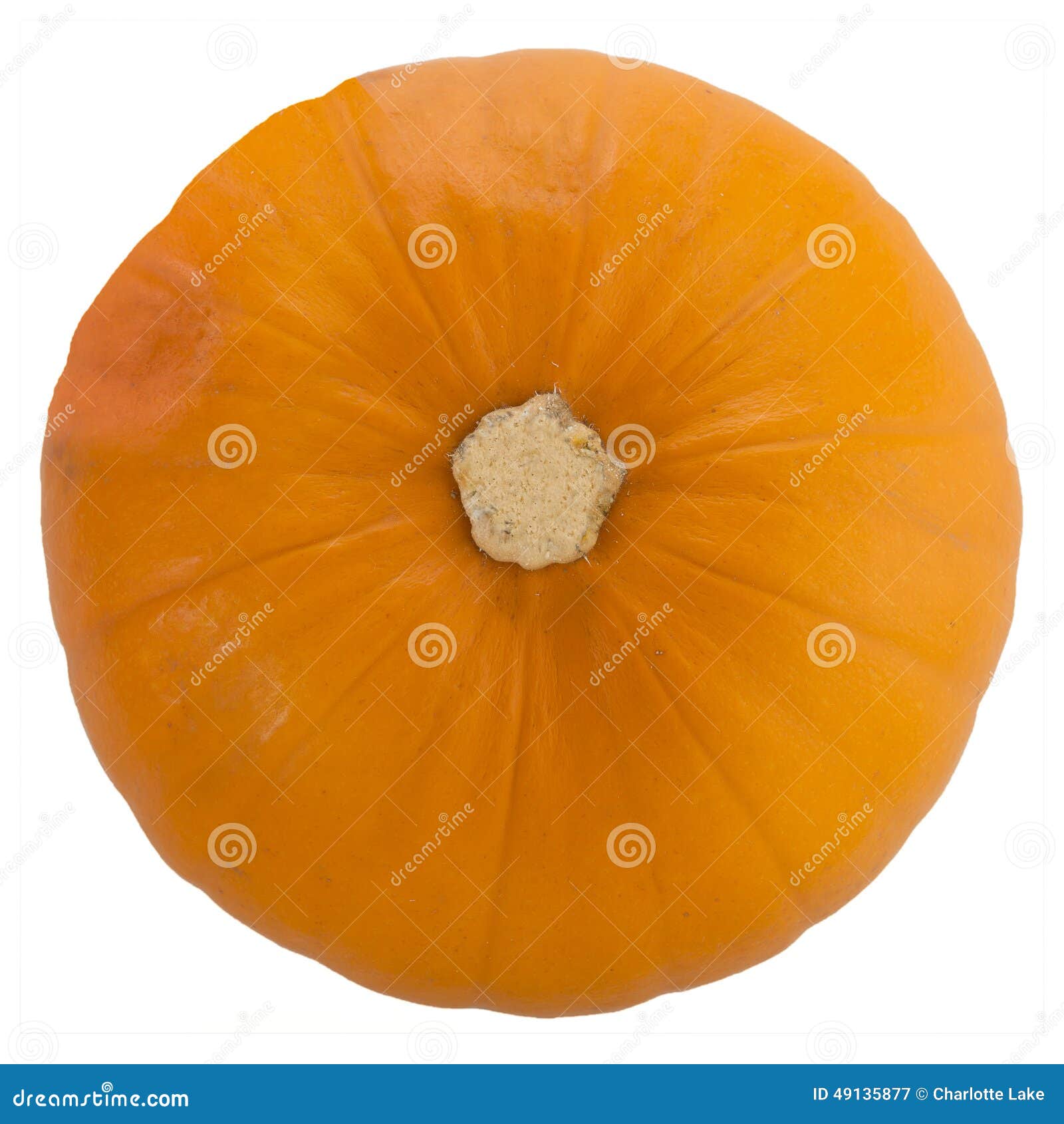 Pumpkin from Above Isolated Stock Image - Image of fall, fresh: 49135877