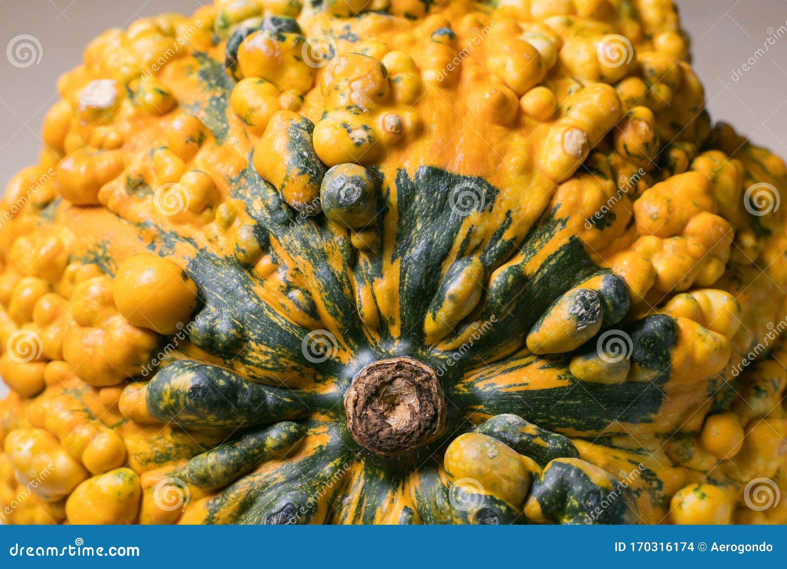 Pumpkin Background Texture Material Full Frame Stock Photo - Image of ...