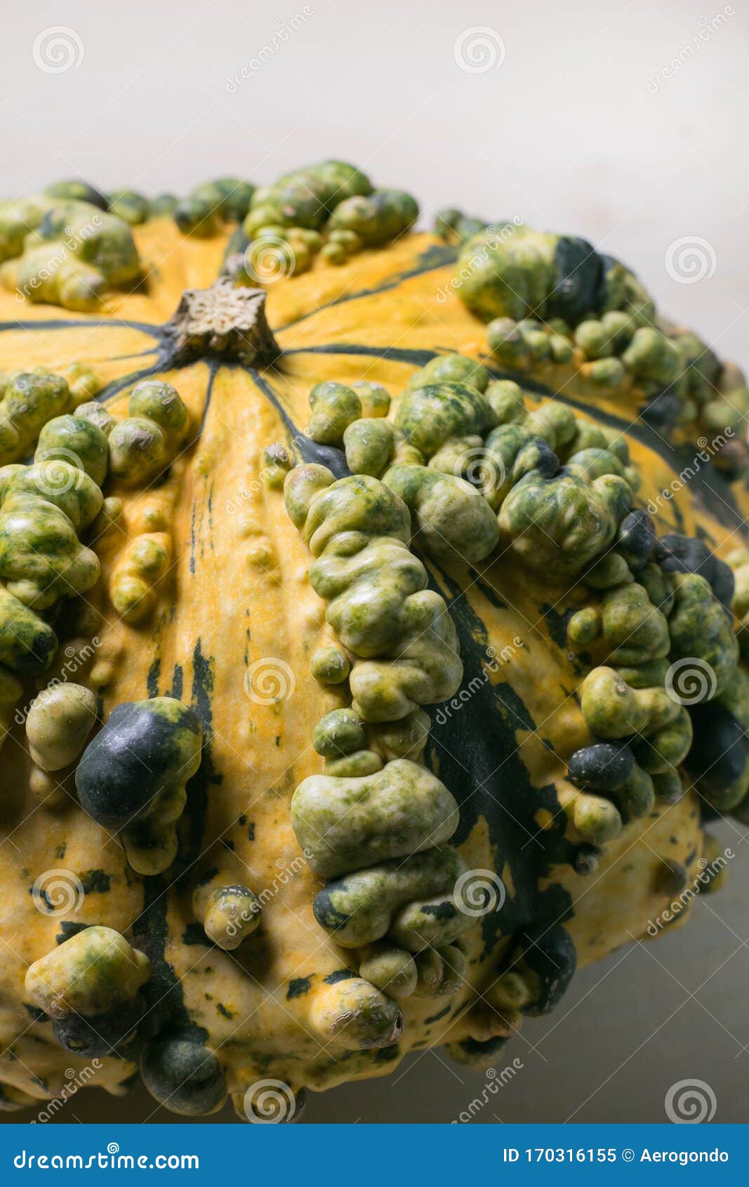 Pumpkin Texture Material with White Background Stock Image - Image of ...