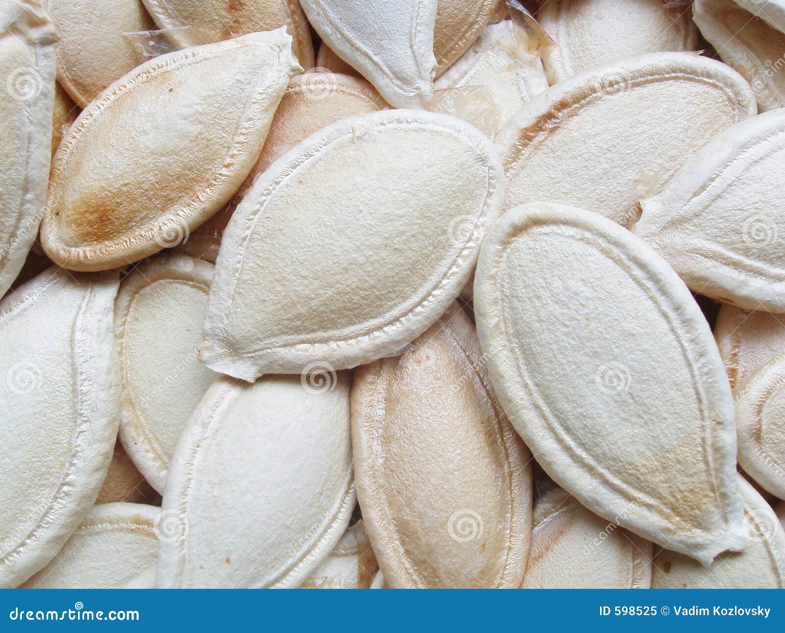 Pumpkin beans stock image. Image of phytogenic, organic - 598525