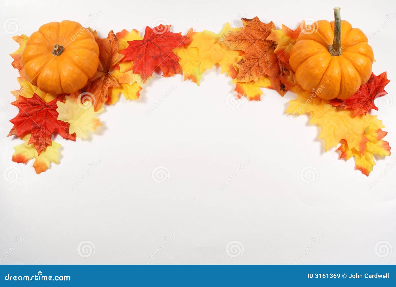 Pumpkin border stock image. Image of thanksgiving, fall - 3161369