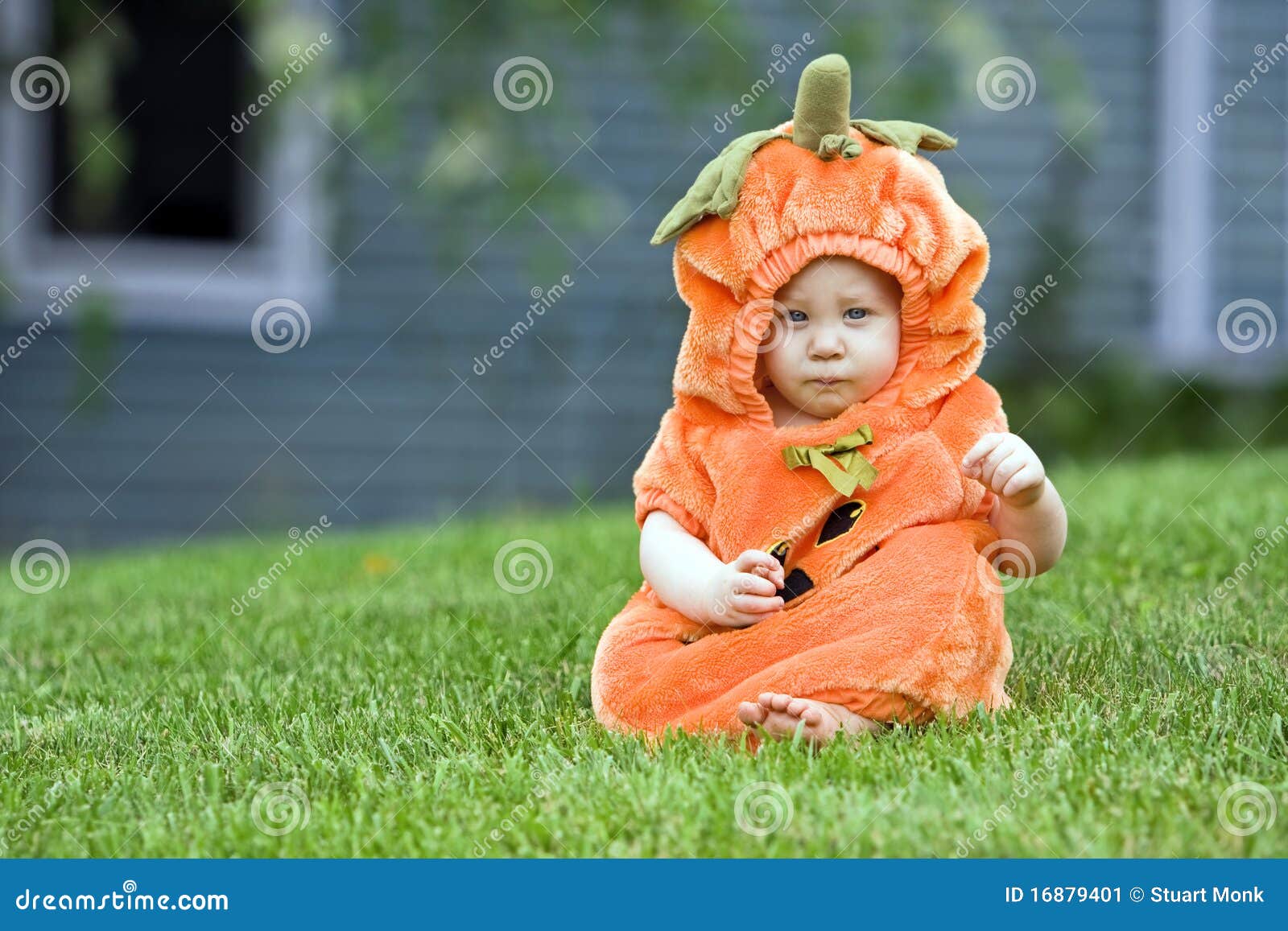 Pumpkin boy stock image. Image of vertical, garden, cute - 16879401