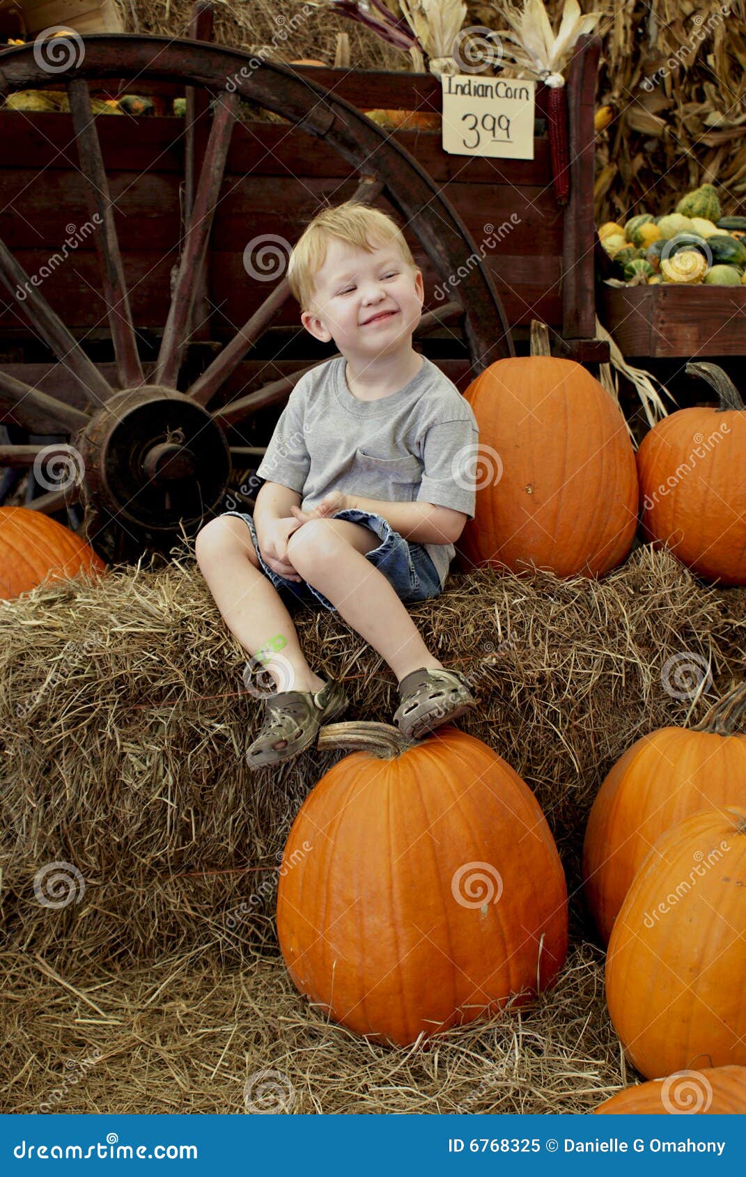 Pumpkin_boy stock image. Image of festival, haloween, fall - 6768325