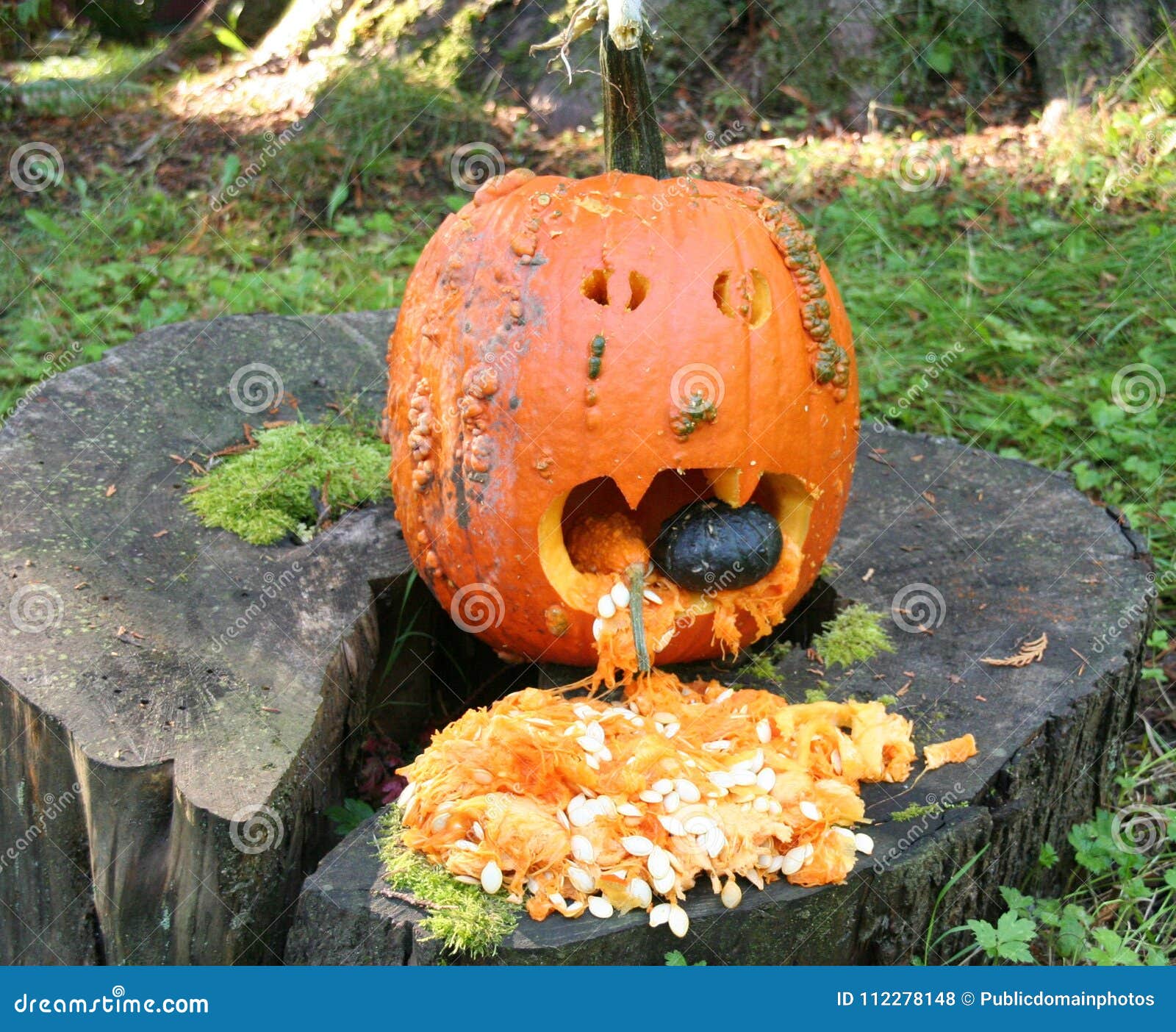 Pumpkin, Calabaza, Cucurbita, Winter Squash Picture. Image: 112278148