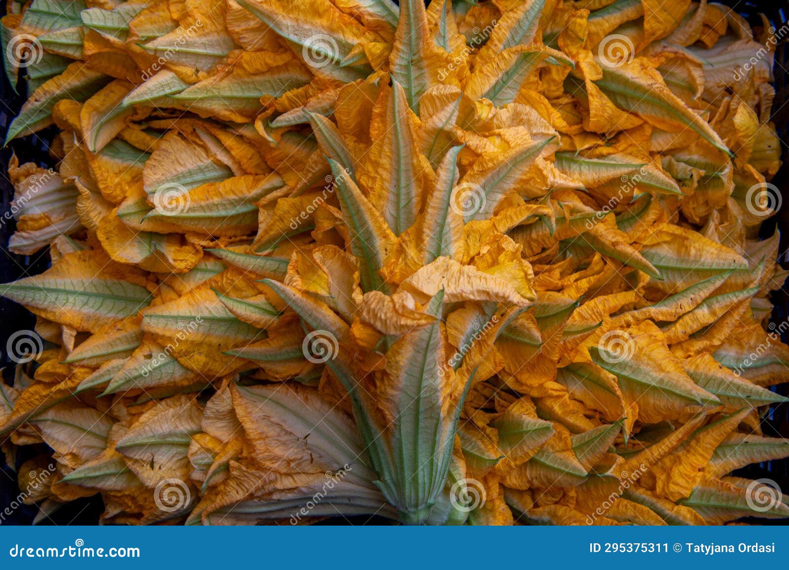 Pumpkin and Courgette Flowers in a Box at a Market Stock Image - Image ...