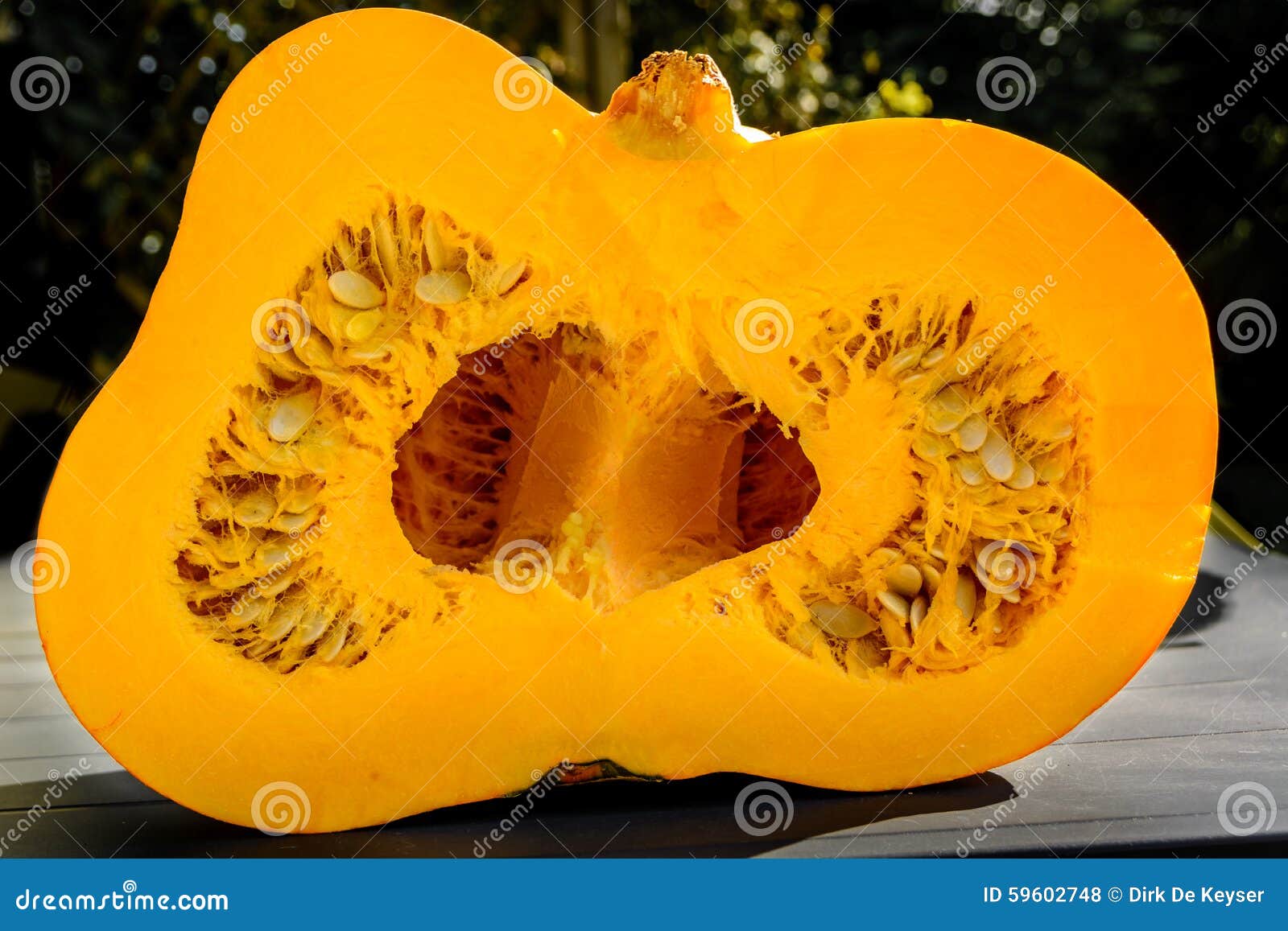 A pumpkin cut in half stock photo. Image of organic, healthy - 59602748