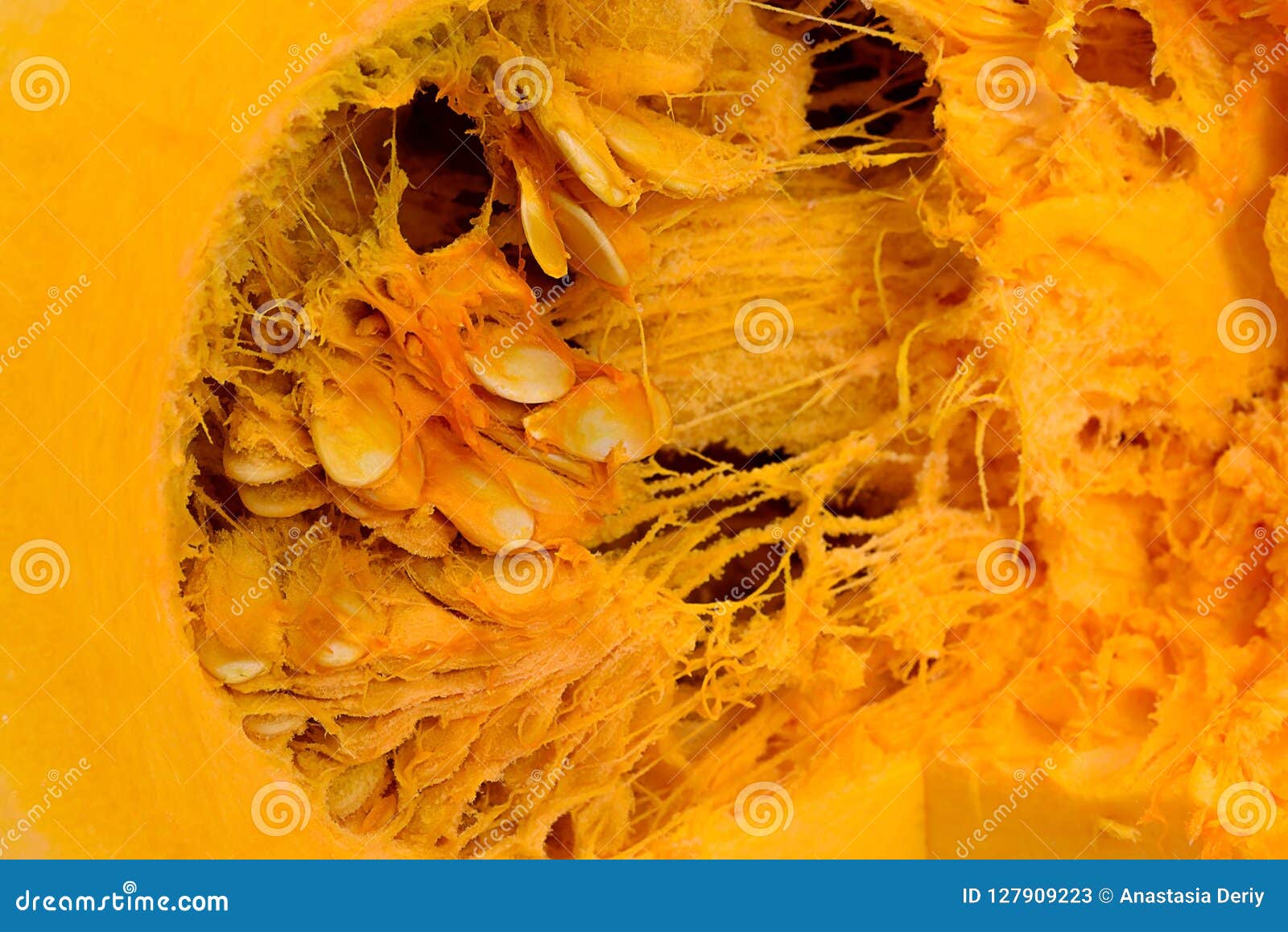 Pumpkin in the Cut, Its Internal Content, Seeds and Fibers, Texture and ...