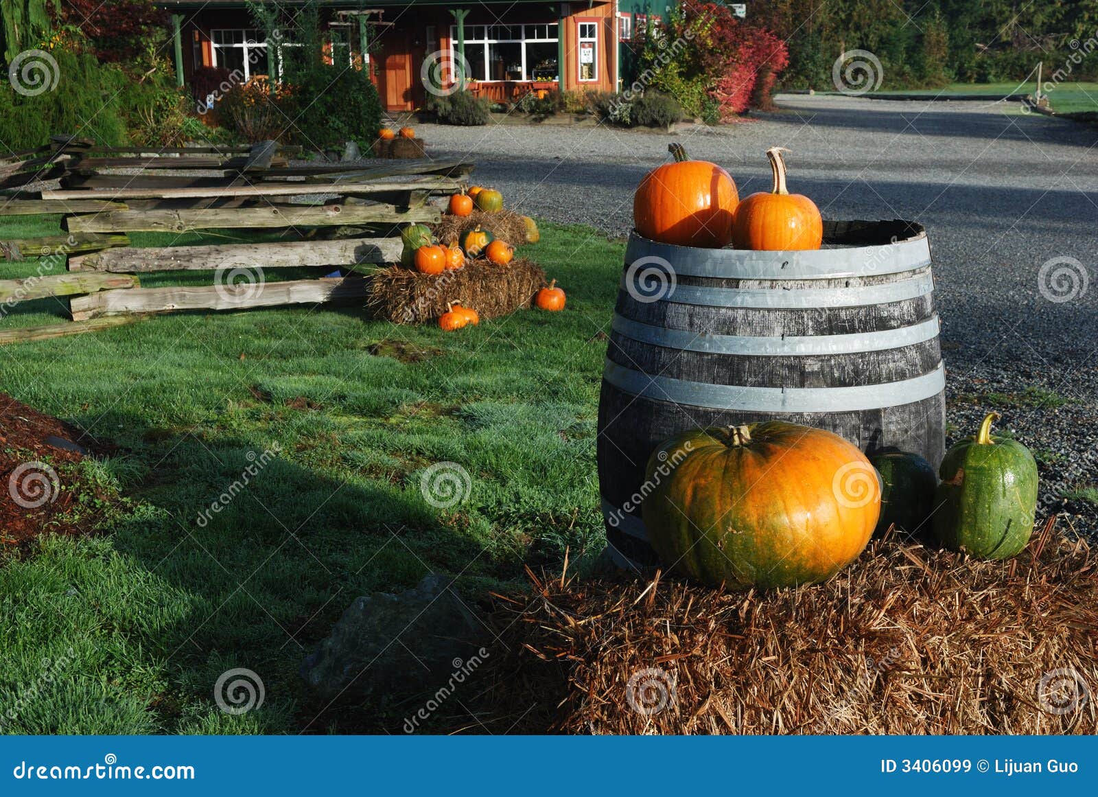 Pumpkin decoration stock image. Image of tree, morning - 3406099