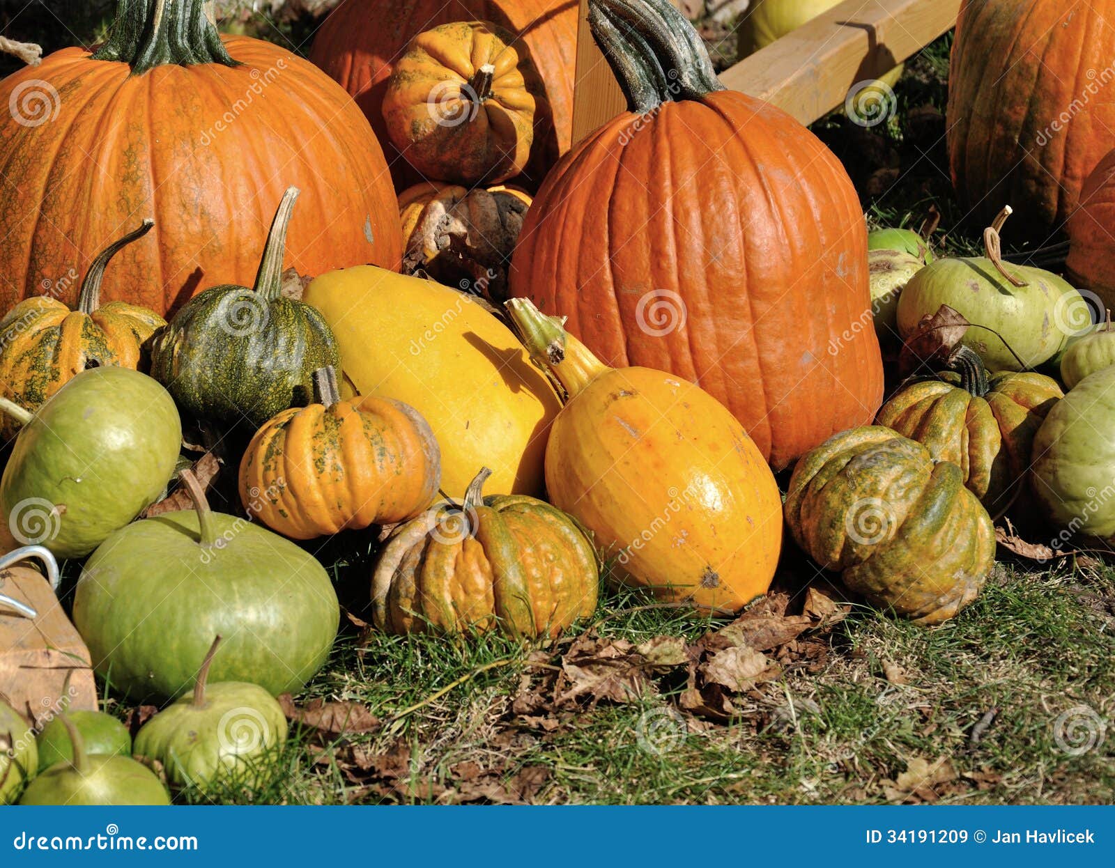 Pumpkin decoration stock image. Image of colorful, pumpkin - 34191209