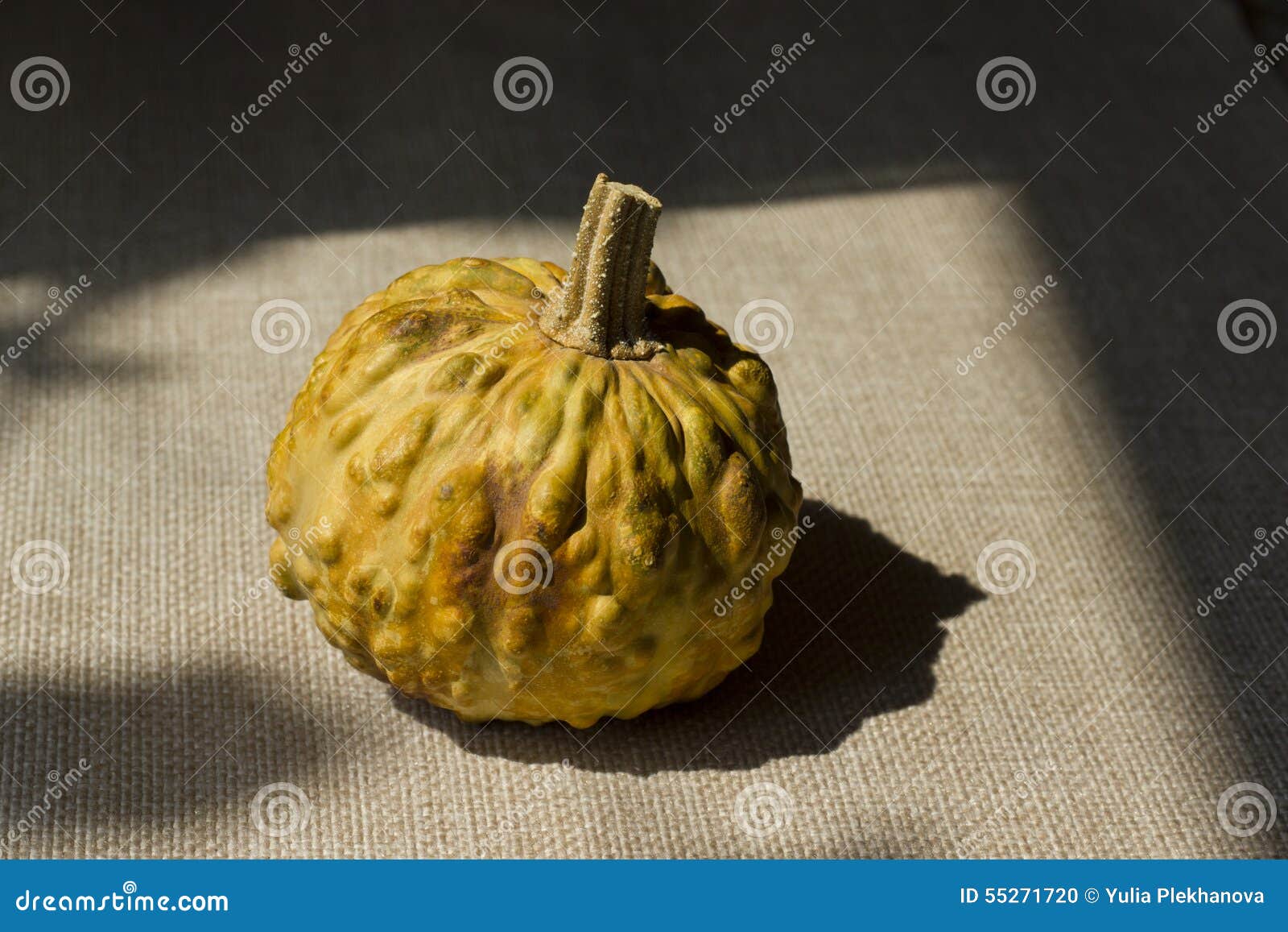 Pumpkin stock photo. Image of culture, colors, backgrounds - 55271720