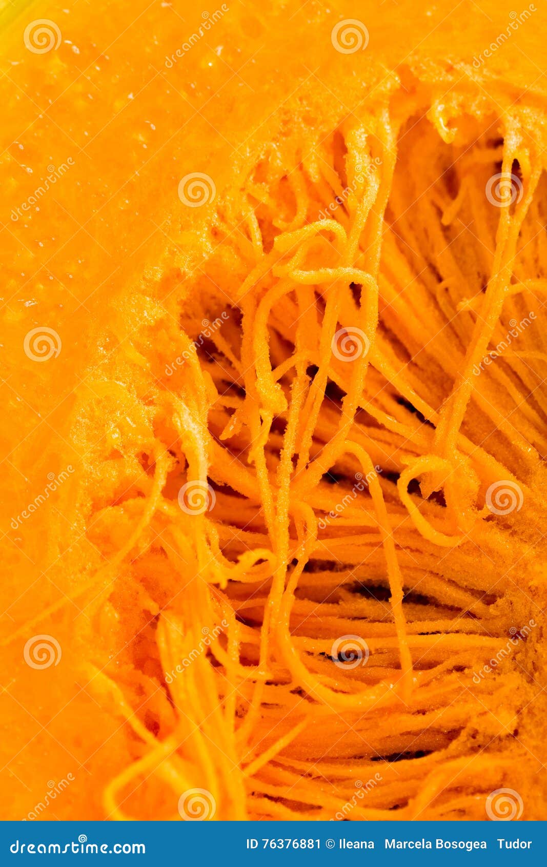 Pumpkin Details from Inside Stock Image - Image of delicious, details ...
