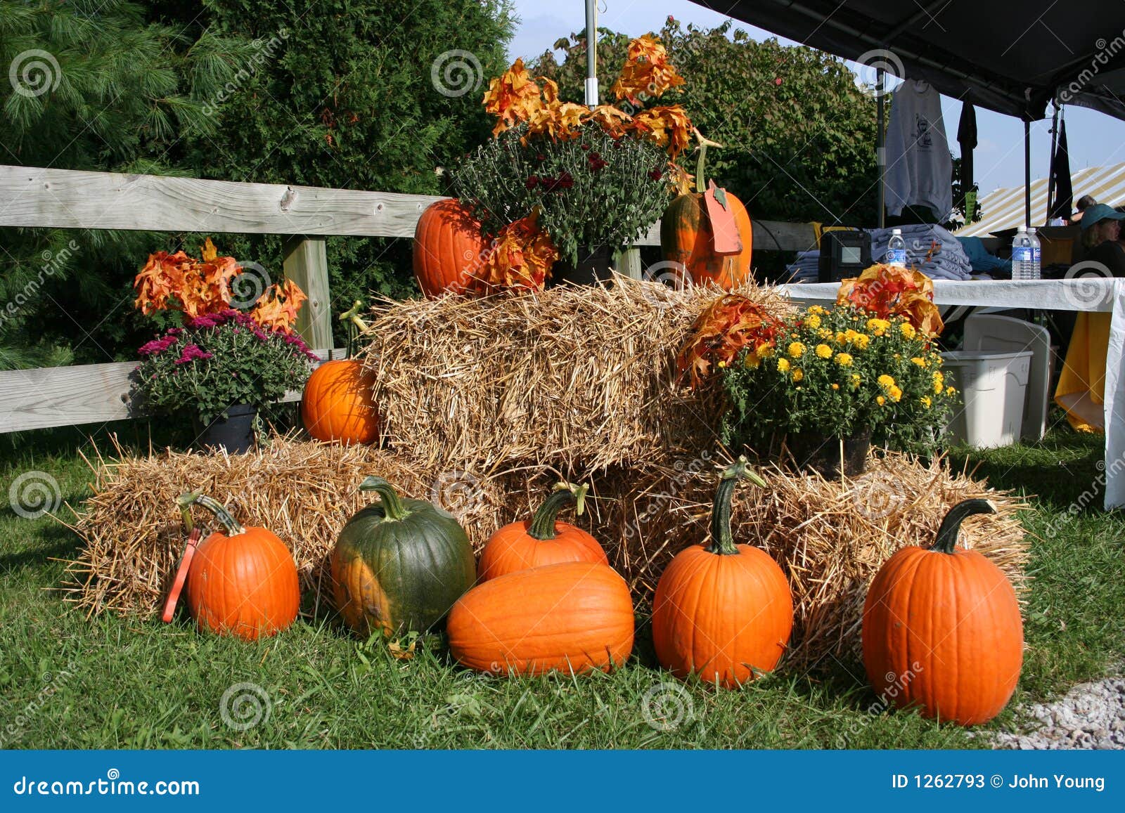A Pumpkin Display at a Fall Festival Stock Image - Image of pumpkins ...