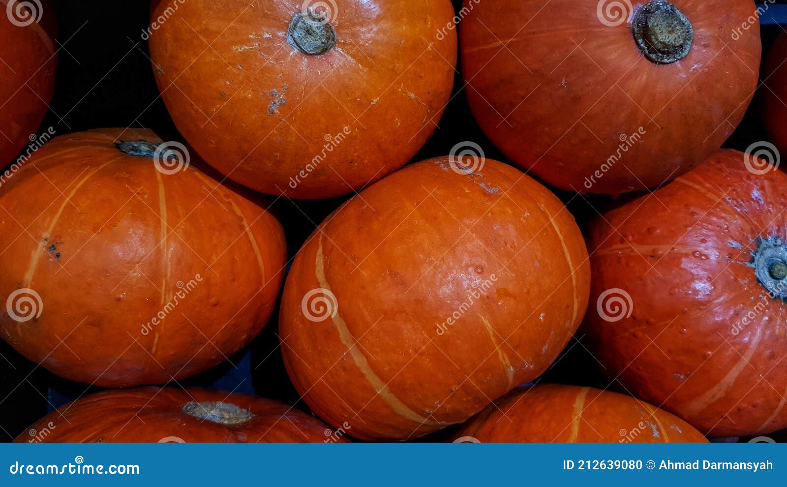 Pumpkin on the Display in the Supermarket Stock Photo - Image of ...