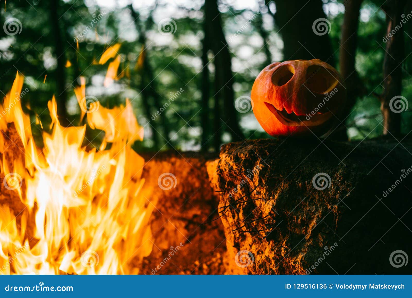 Pumpkin Face by the Fire in the Woods.helloween.halloween Stock Photo ...