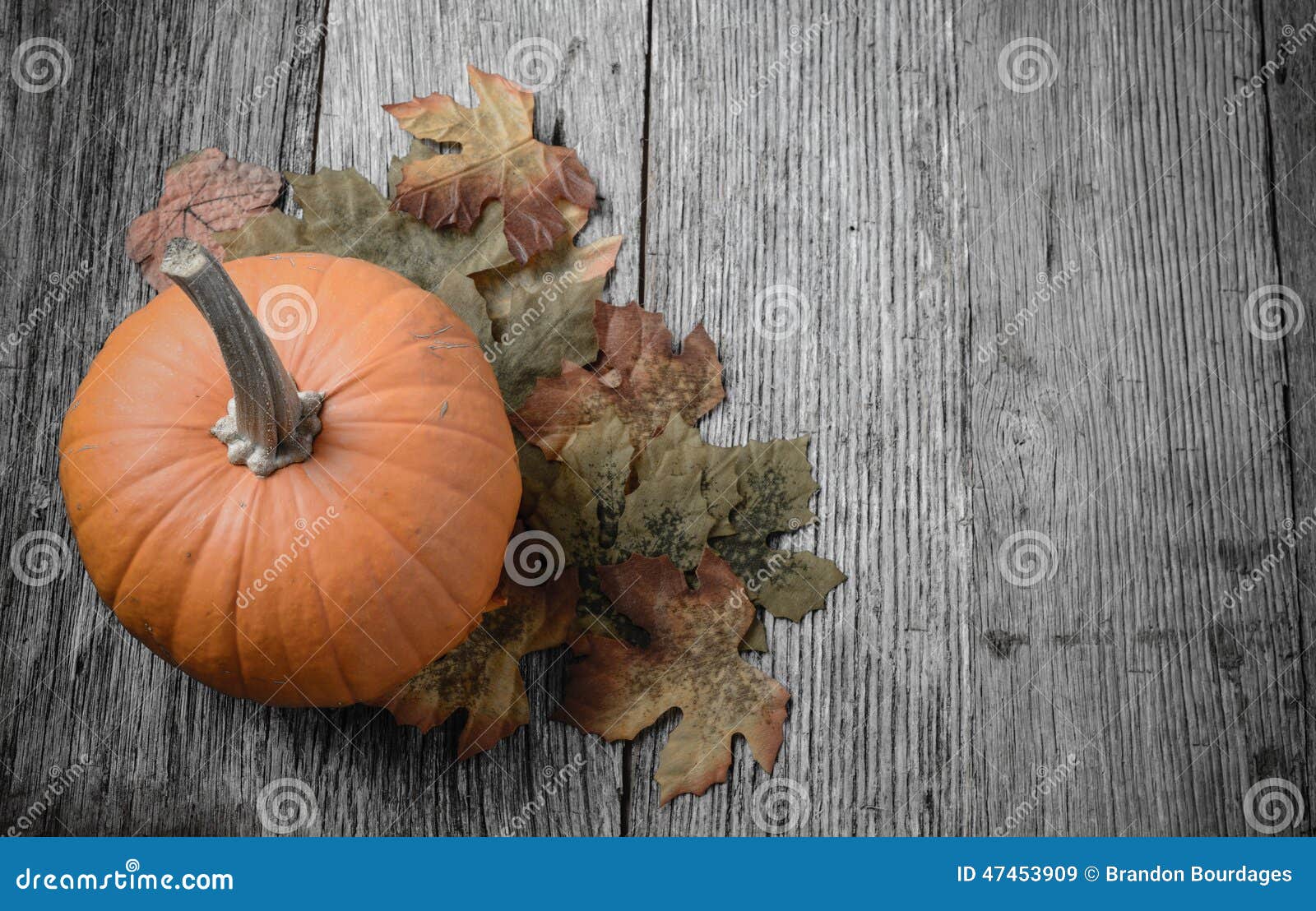 Pumpkin and Fall Leaves on Rustic Wood Stock Image - Image of fall ...