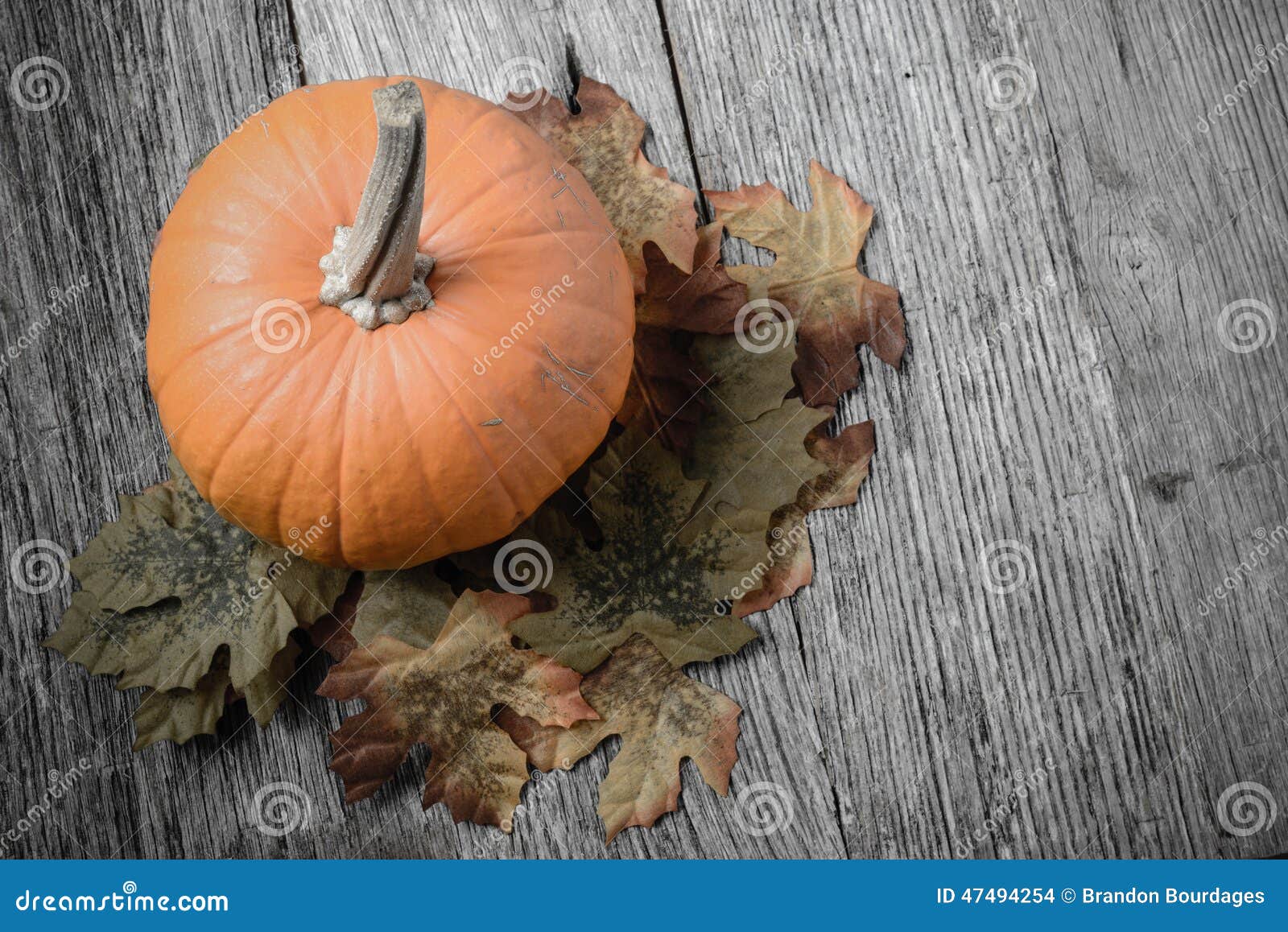 Pumpkin and Fall Leaves on Rustic Wood Stock Photo - Image of ...