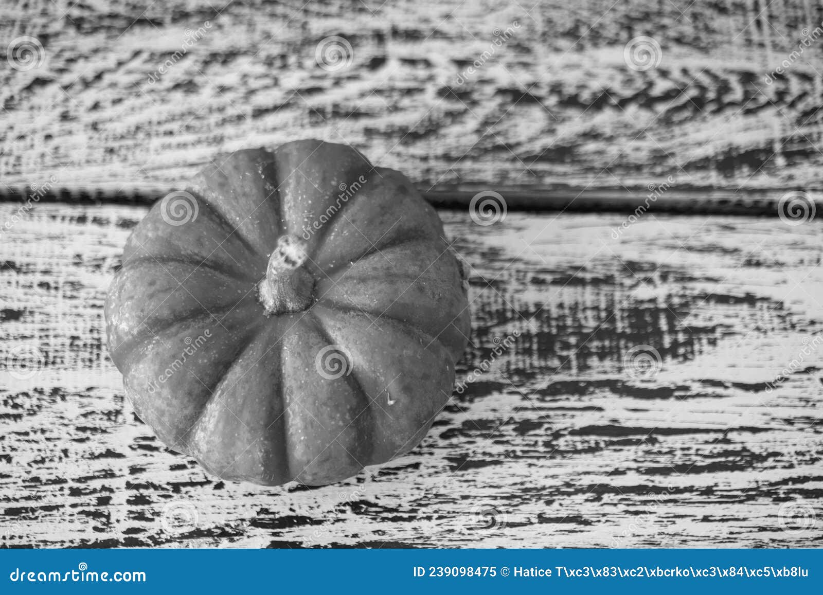 Pumpkin, Fall-themed Visual. Close Up Stock Image - Image of life ...