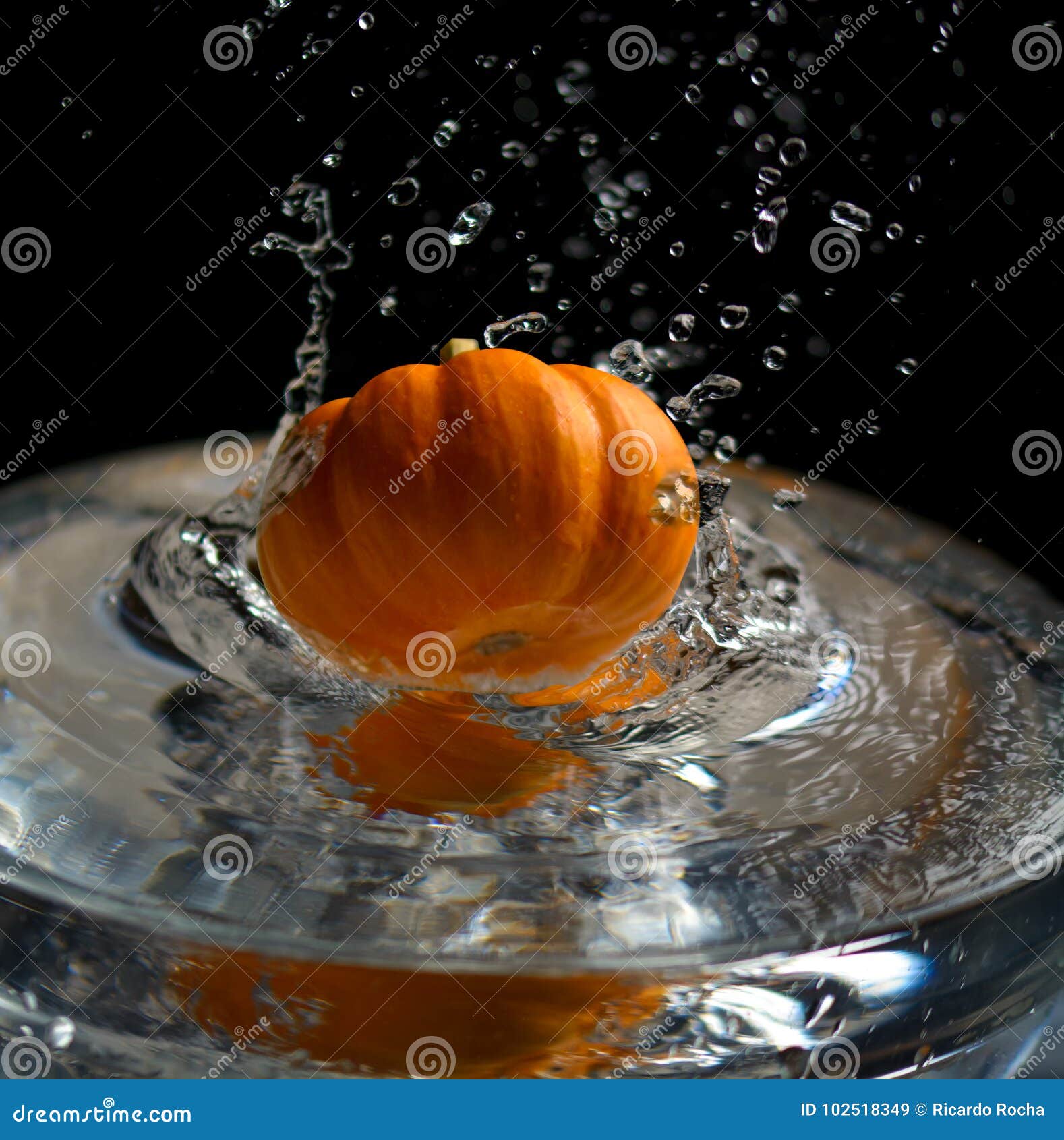 Pumpkin falling in water stock image. Image of pumpkin - 102518349