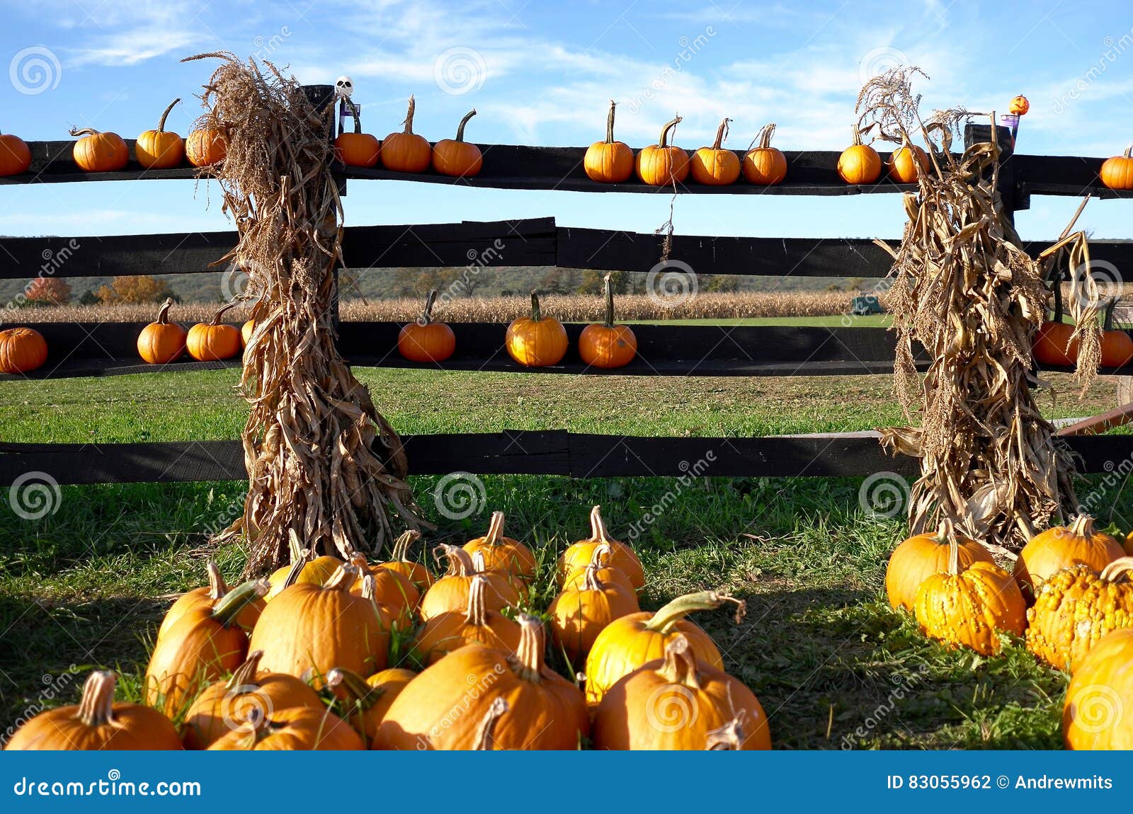 Pumpkin Farm stock photo. Image of rustic, autumn, truck - 83055962