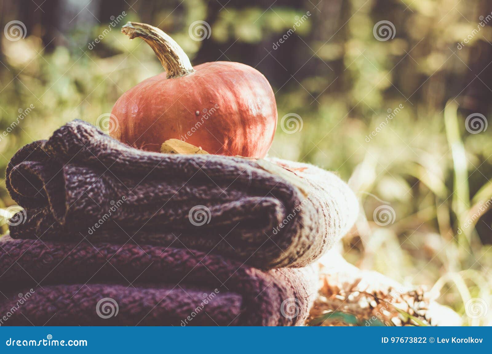 Pumpkin on Folded Wool Jackets Stock Photo - Image of yellow, brown ...