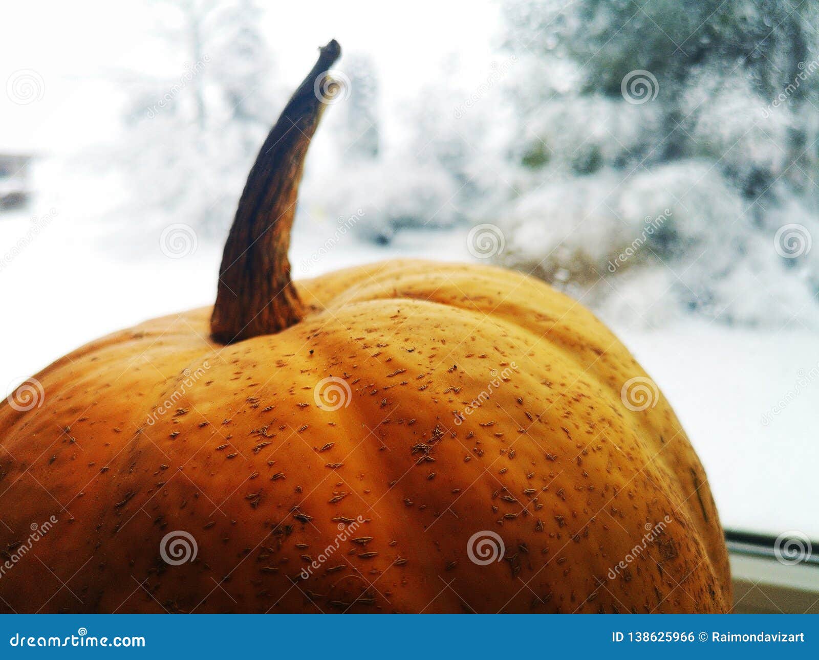 Pumpkin in Winter Background Stock Photo - Image of winter, window ...