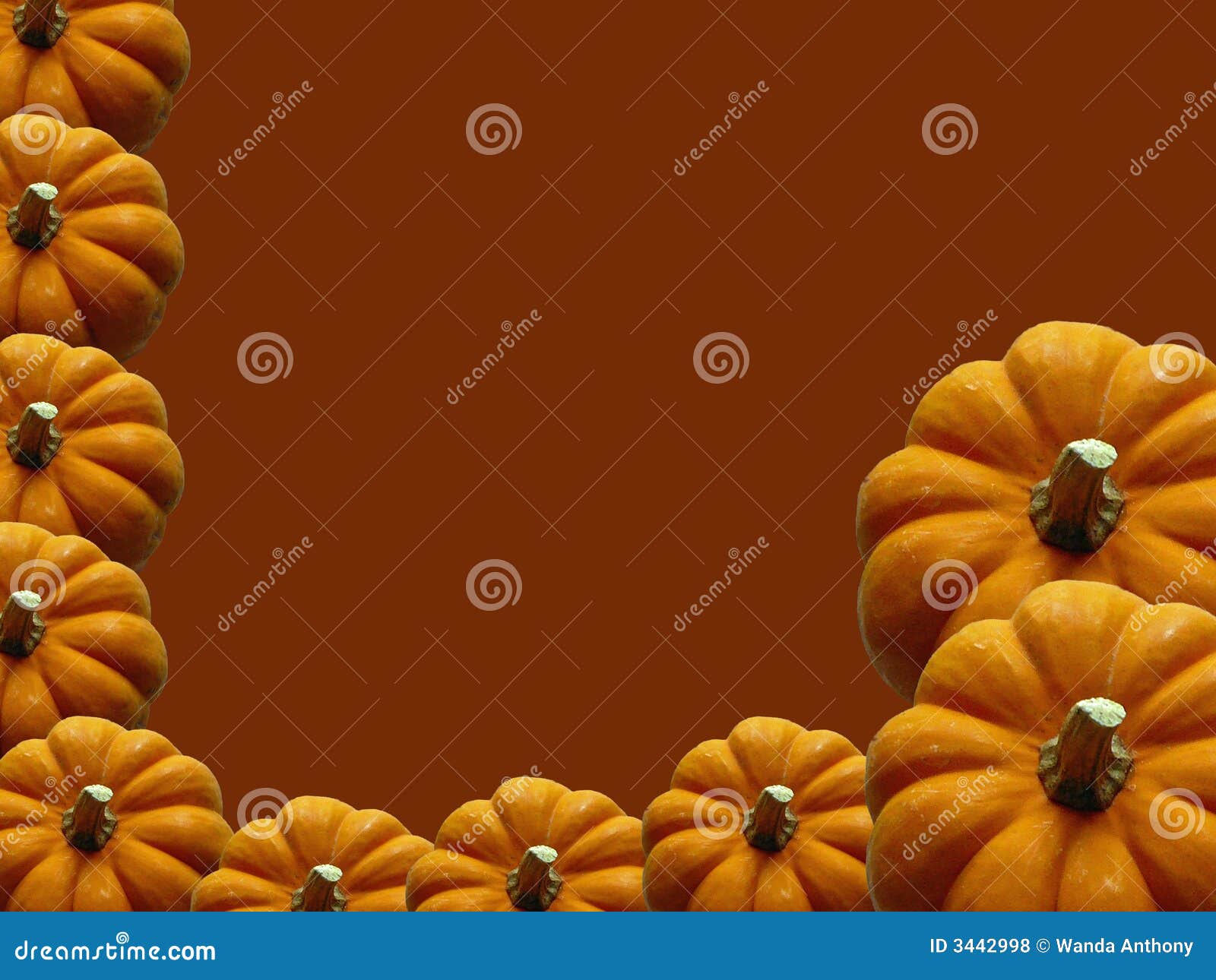 Pumpkin Frame stock photo. Image of halloween, autumn - 3442998