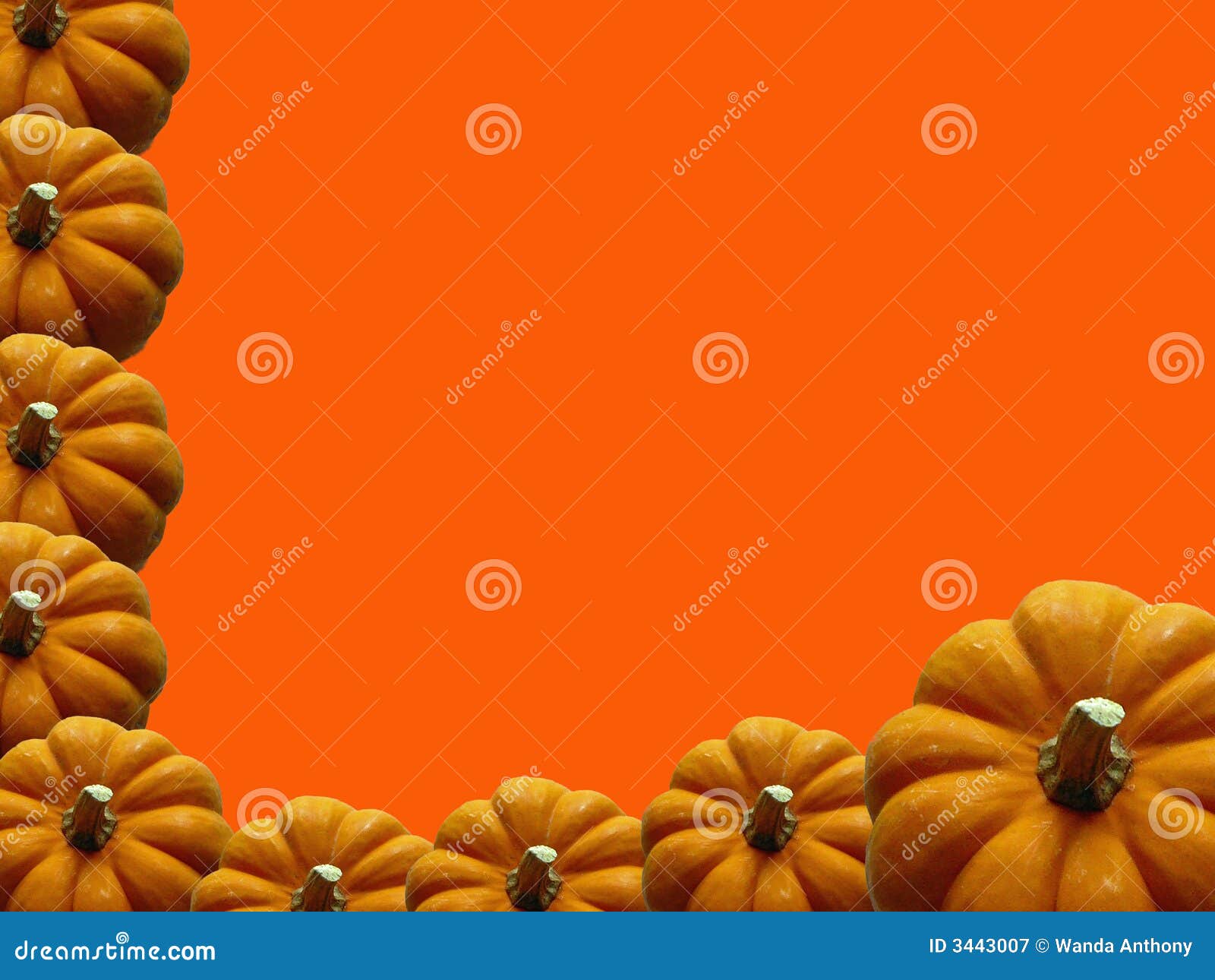 Pumpkin Frame stock image. Image of autumn, thanksgiving - 3443007