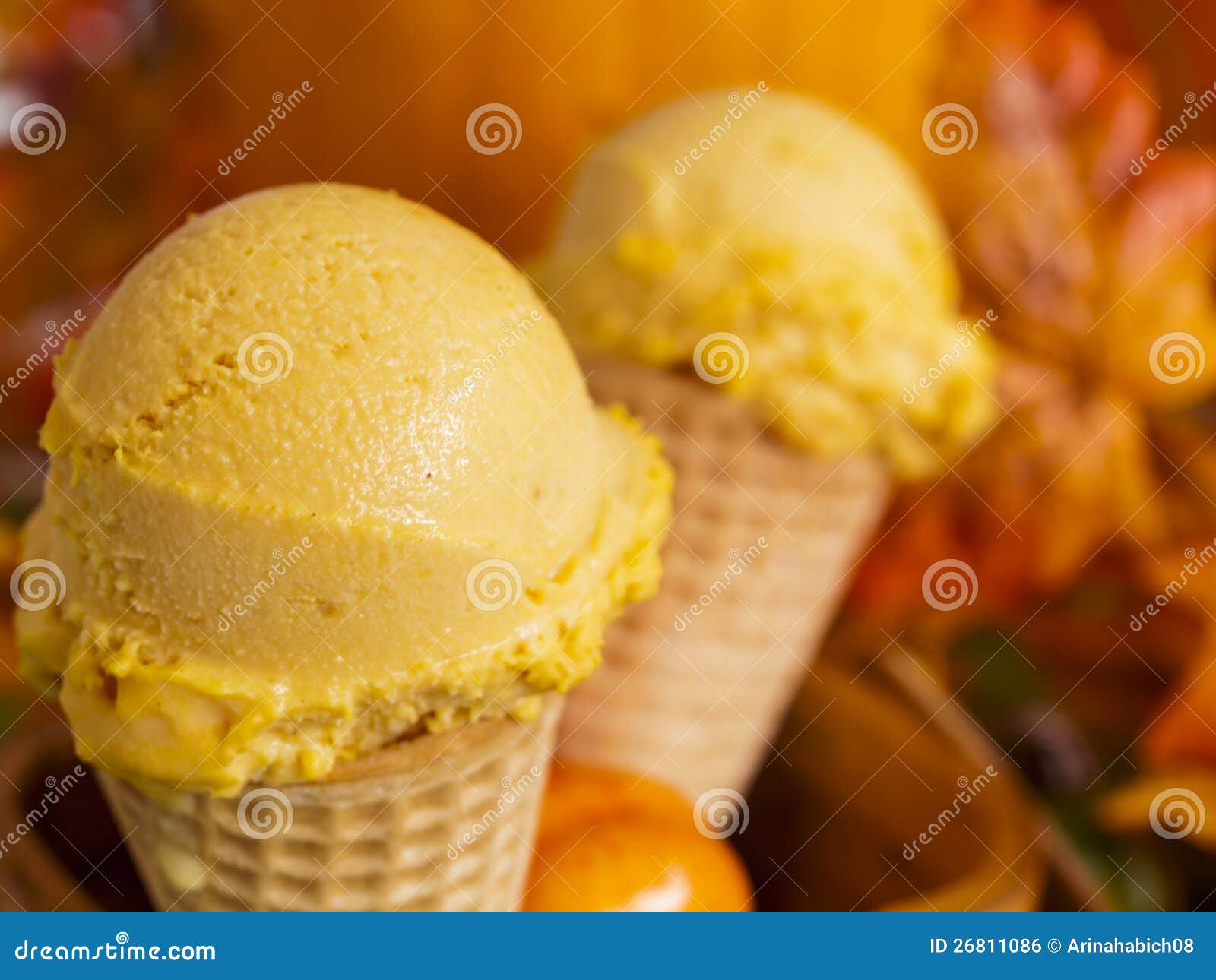 Pumpkin Gelato stock photo. Image of organic, fiber, frozen - 26811086