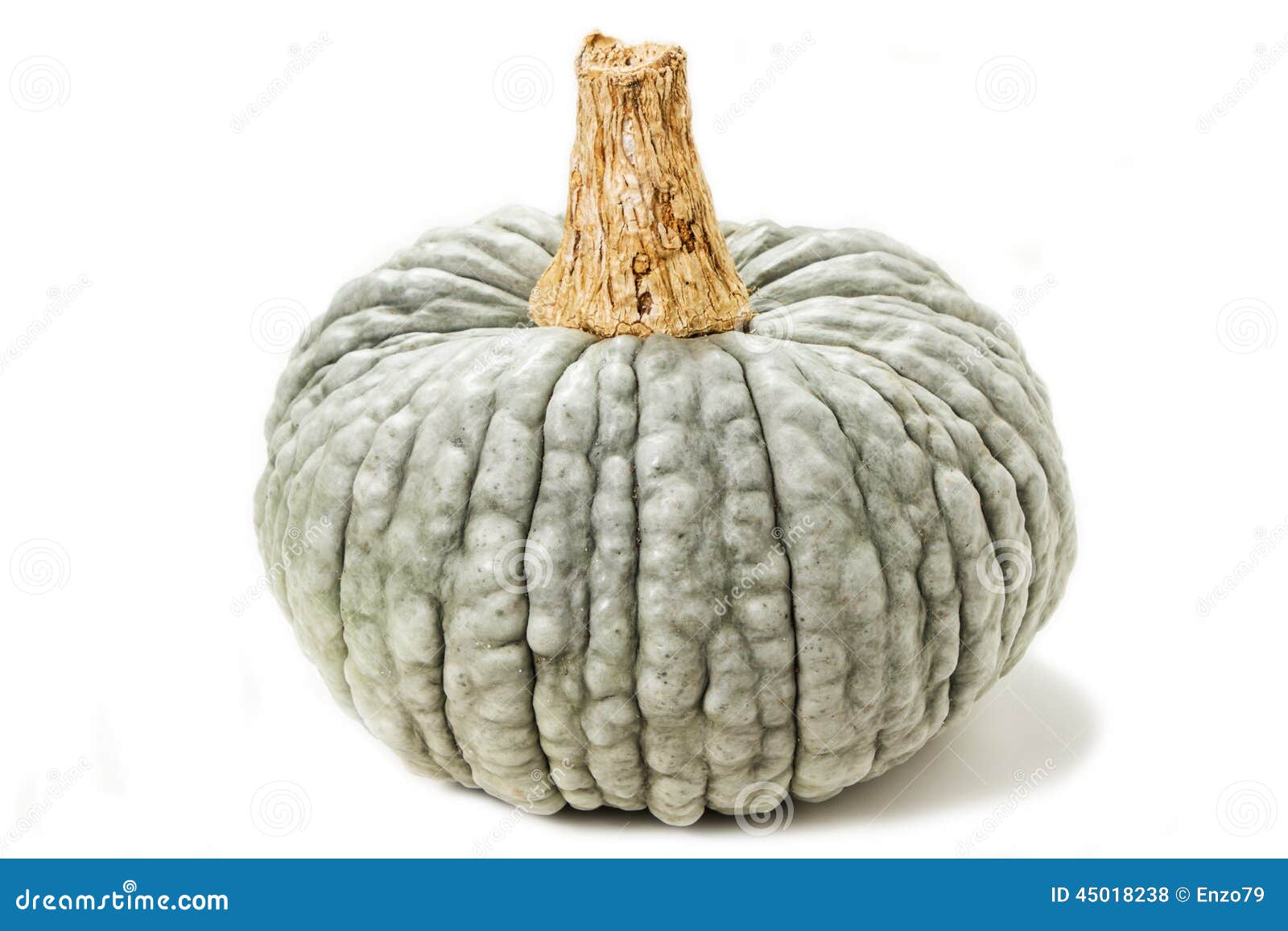 Pumpkin green stock photo. Image of background, food - 45018238