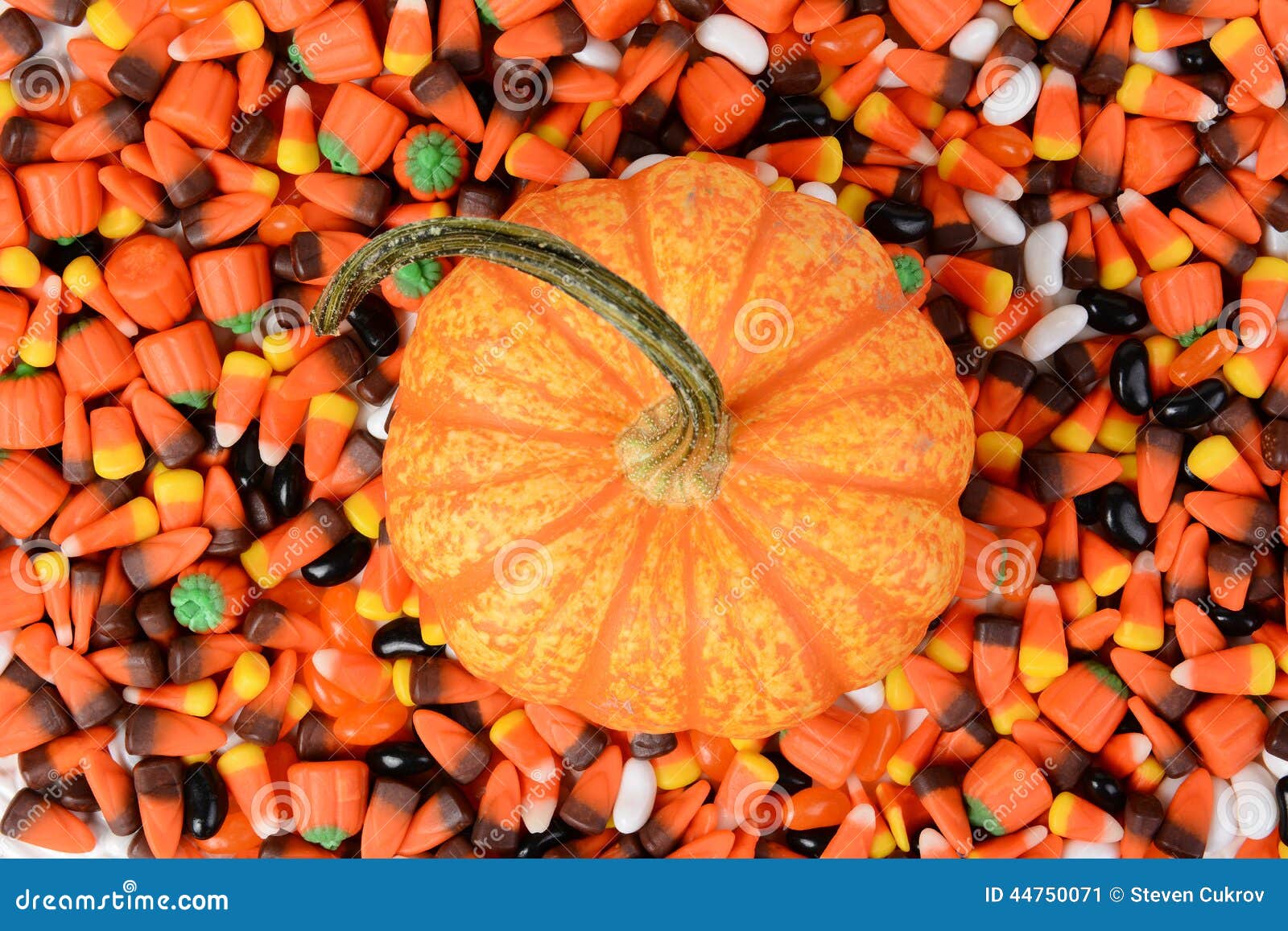Pumpkin Halloween Candy stock image. Image of green, october - 44750071
