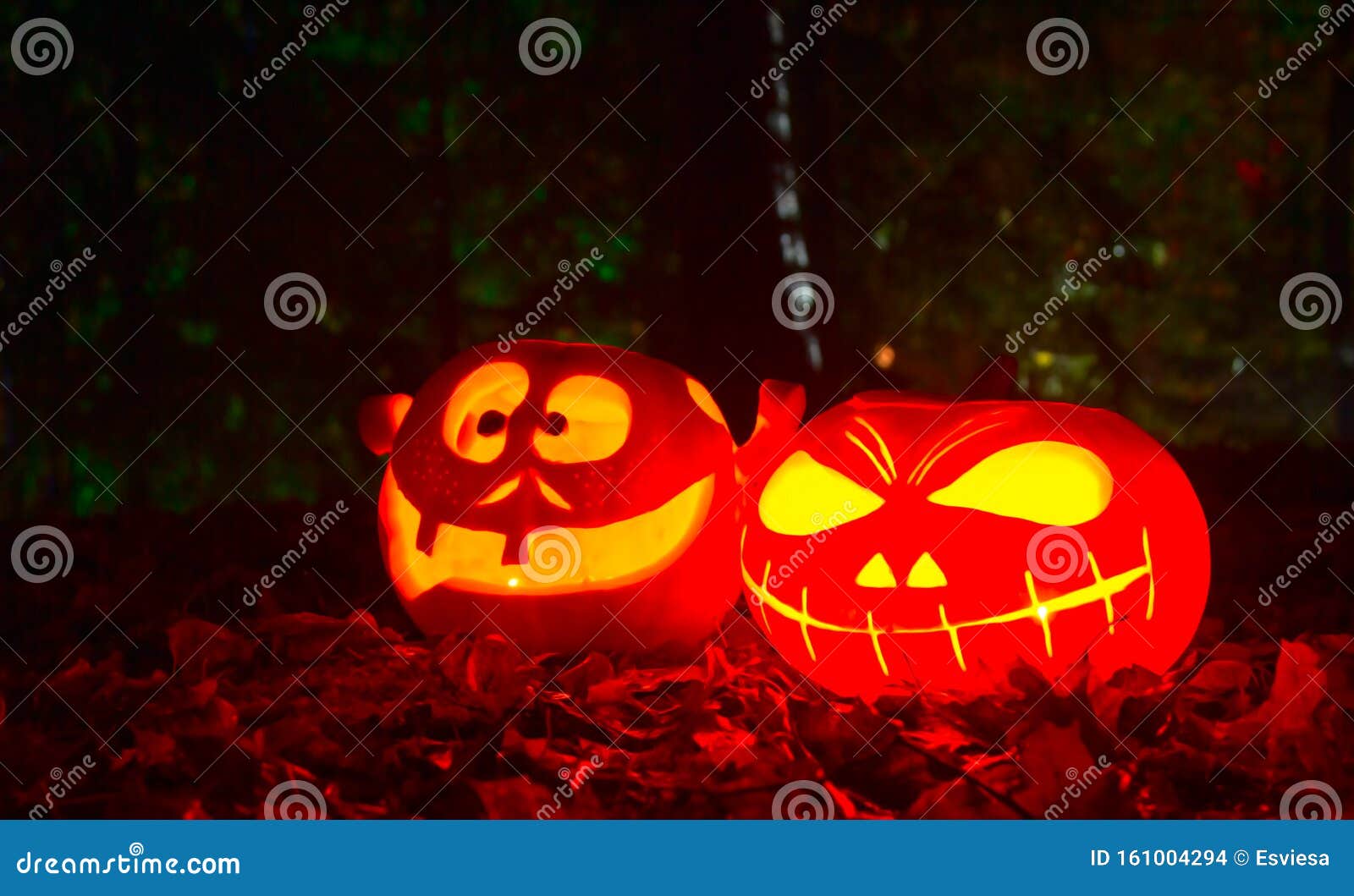 Pumpkin for Halloween Night Stock Photo - Image of light, pumpkins ...