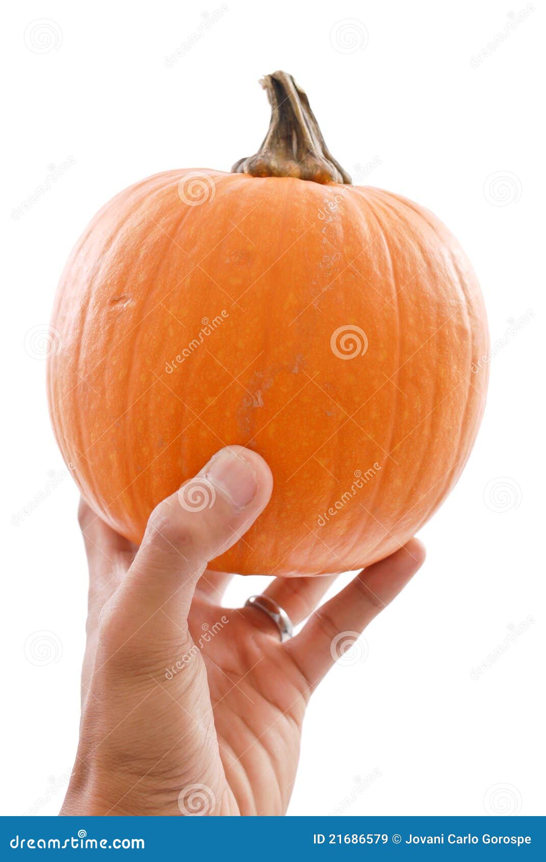 Pumpkin in Hand stock image. Image of october, hand, agriculture - 21686579
