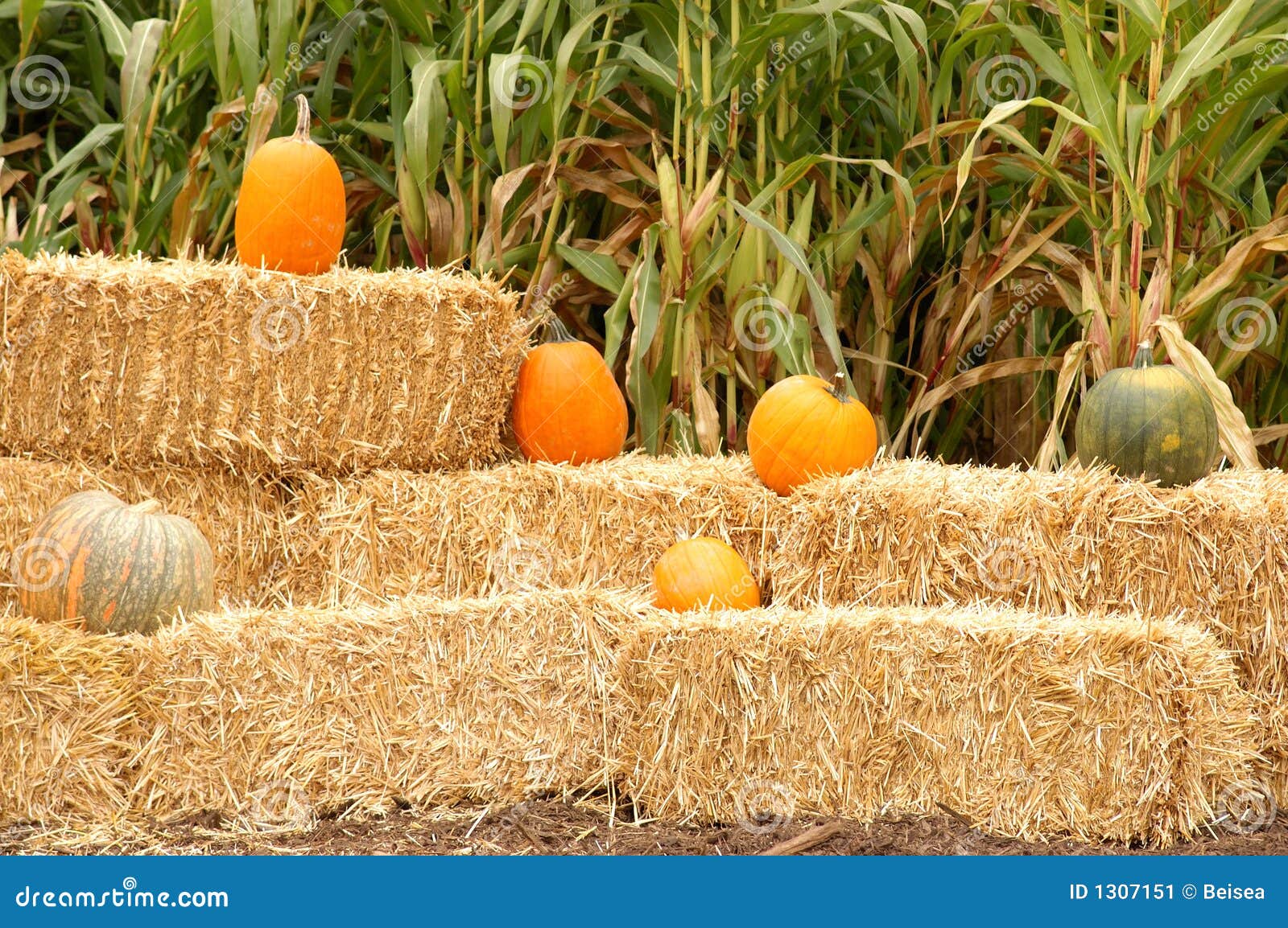 Pumpkin And Hay Stack No.2 Stock Image - Image: 1307151