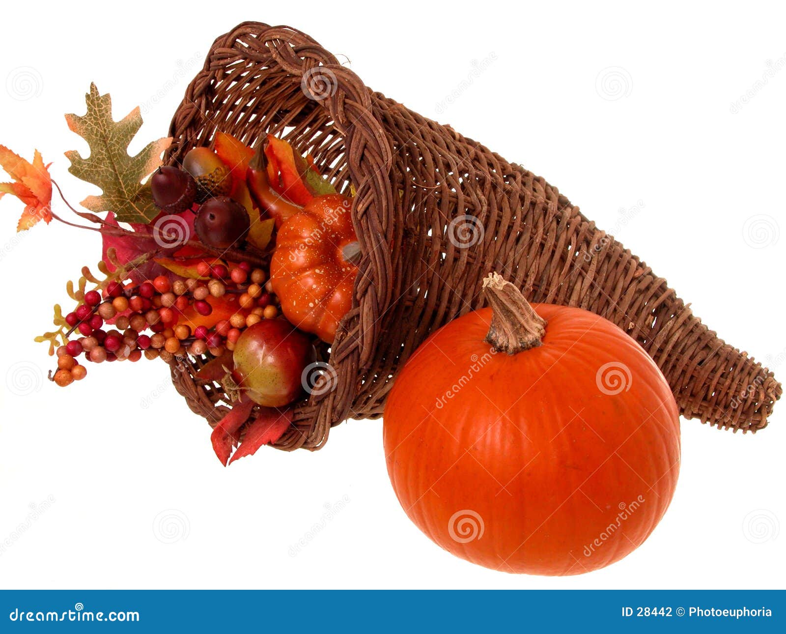 Pumpkin & Horn Basket Arrangement Stock Photo - Image of nuts, holiday ...