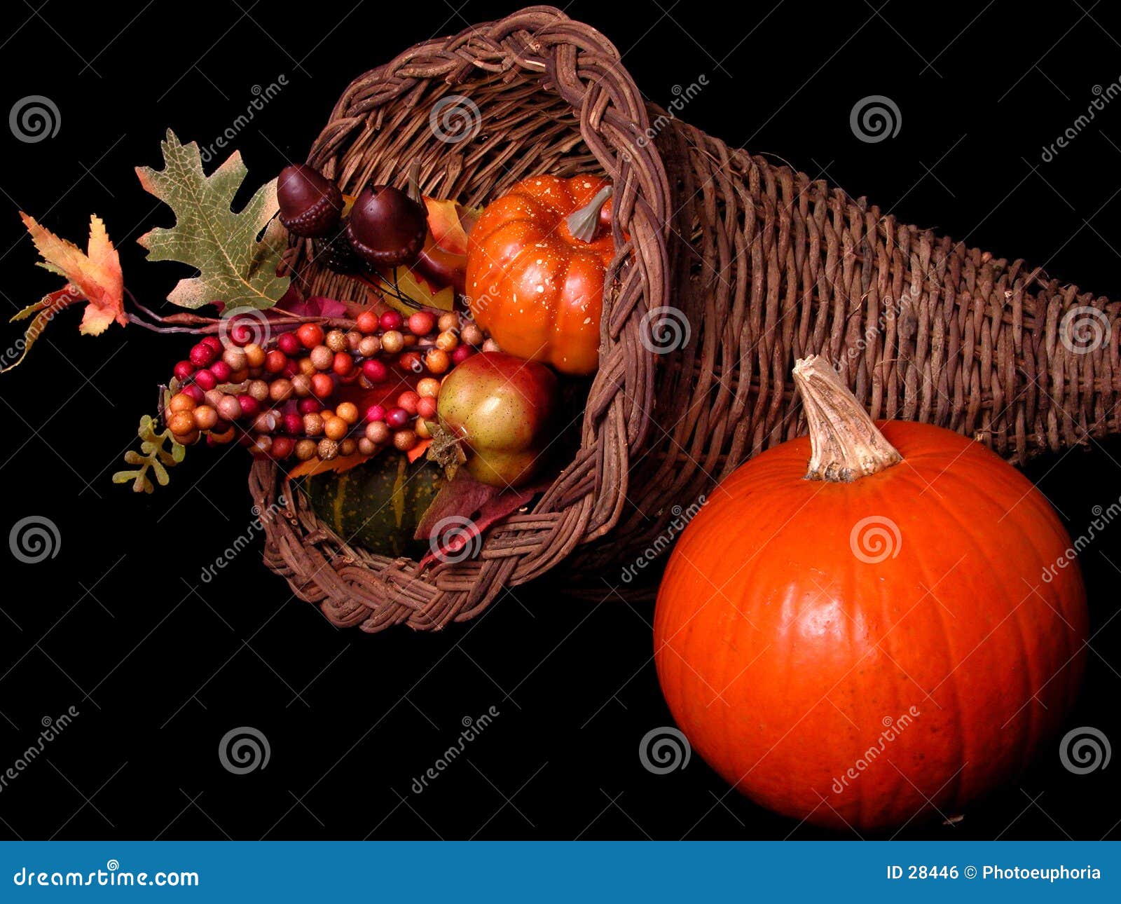 Pumpkin & Horn Basket Arrangement on Black Stock Photo - Image of ...