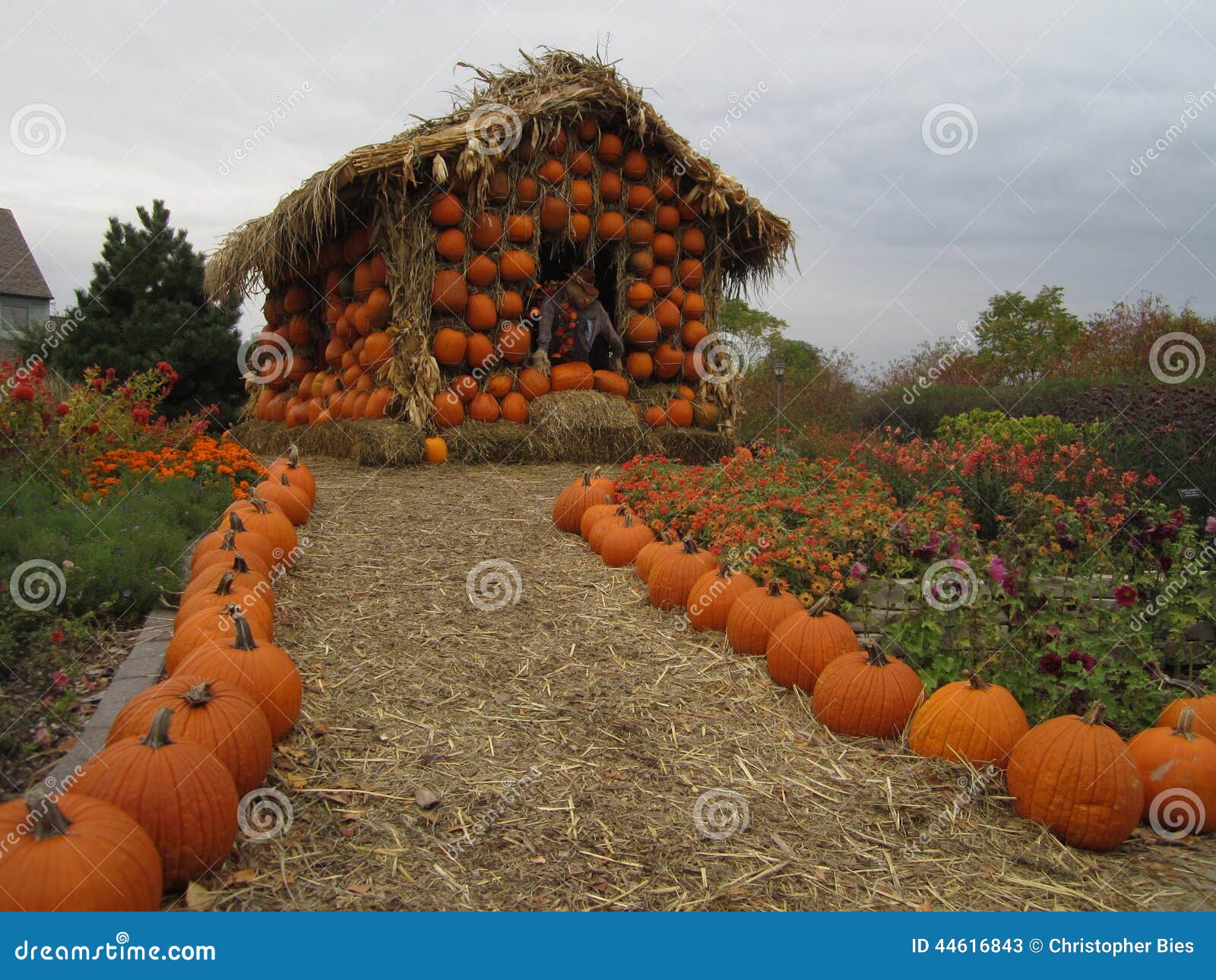 Pumpkin House stock image. Image of october, autumn, building - 44616843