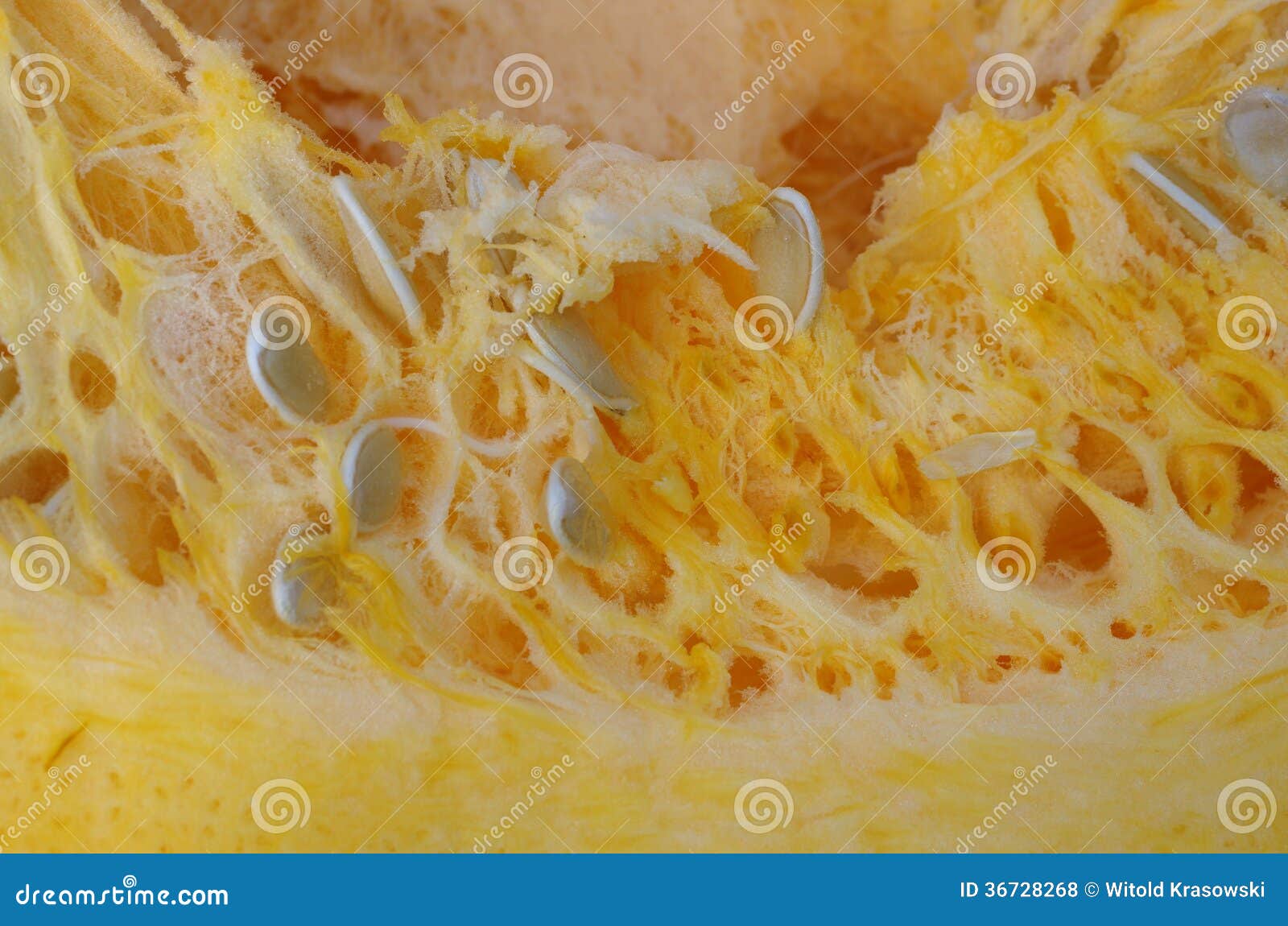 Pumpkin inside stock photo. Image of vegetable, ingredient - 36728268