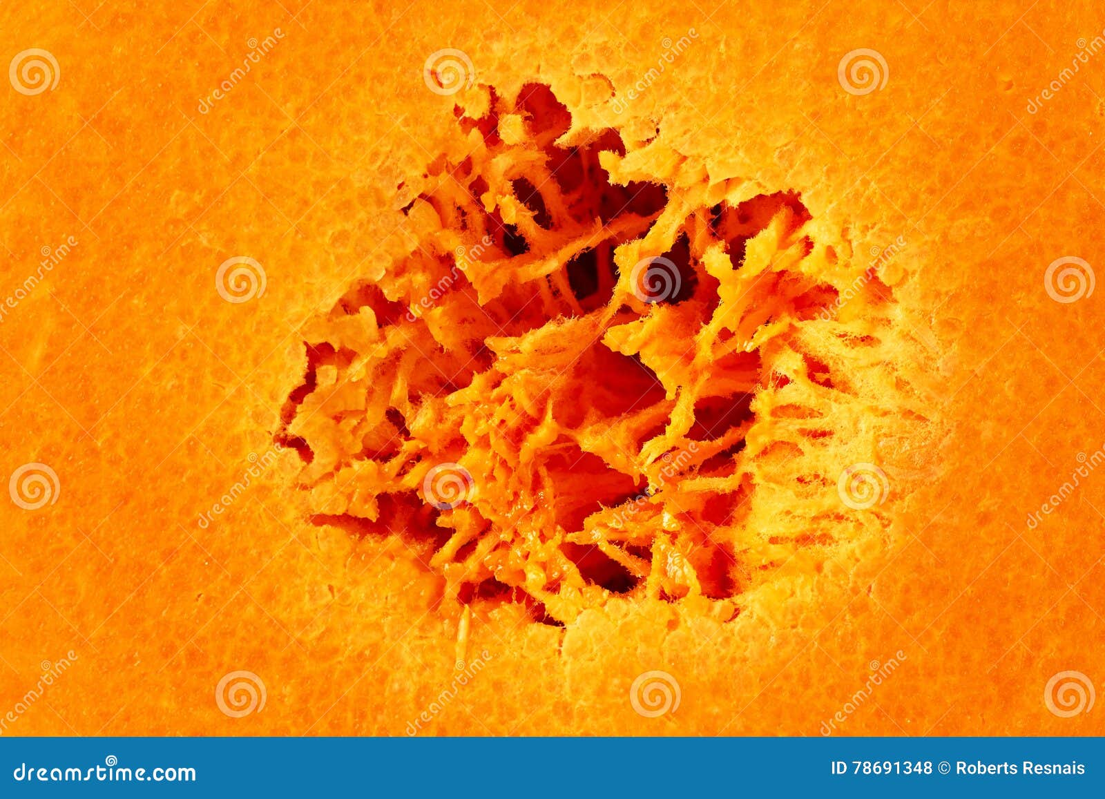 Pumpkin inside texture. stock photo. Image of macro, holiday - 78691348