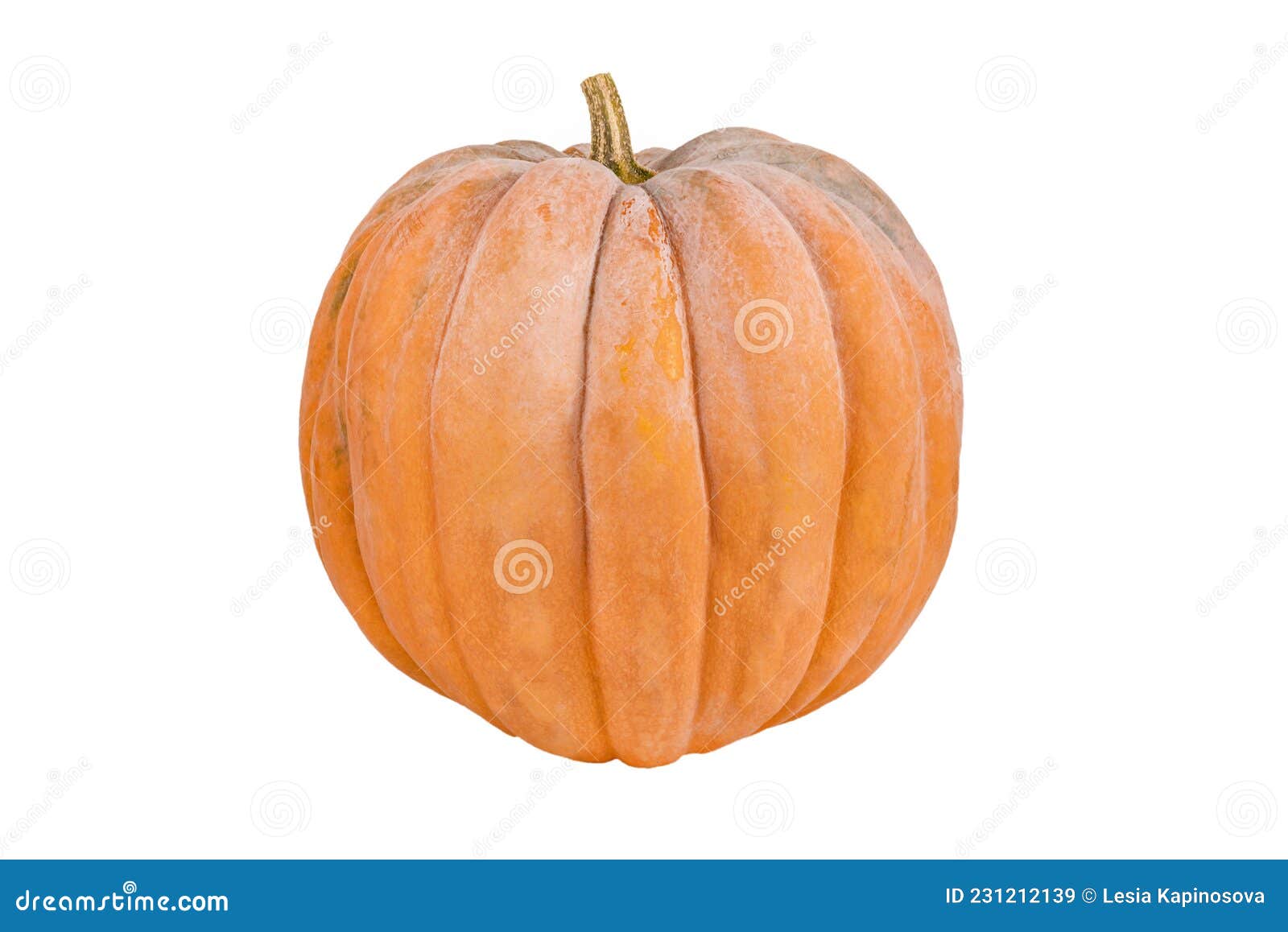 Pumpkin Isolate. Fresh Orange Pumpkin Isolated on White Background ...
