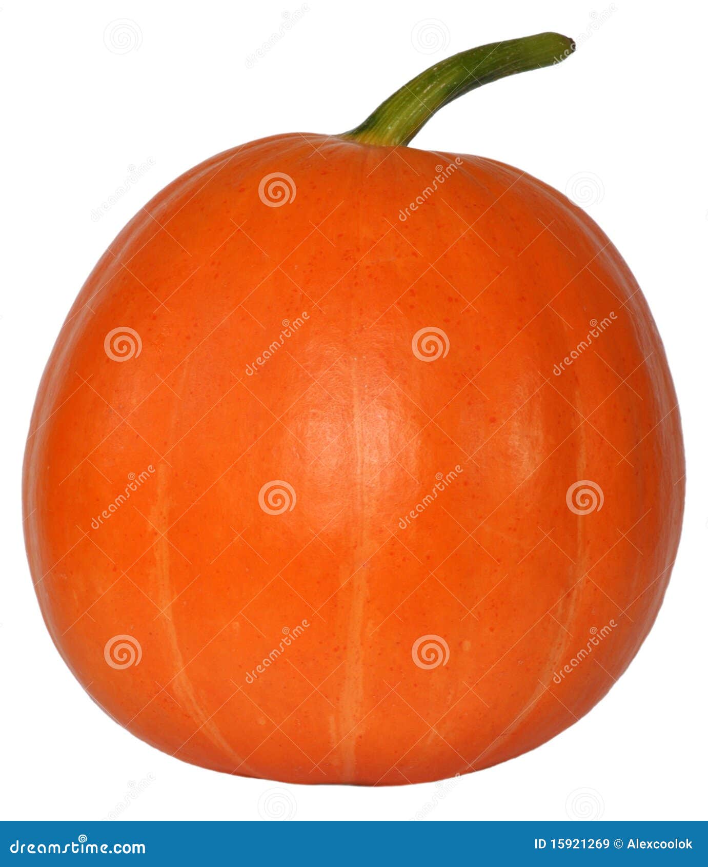 Pumpkin isolated stock image. Image of single, isolated - 15921269