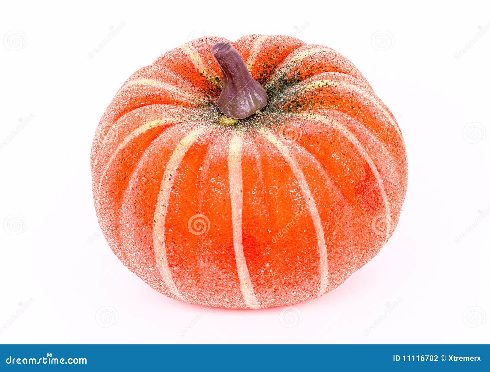 Pumpkin isolated on white. stock photo. Image of holiday - 11116702