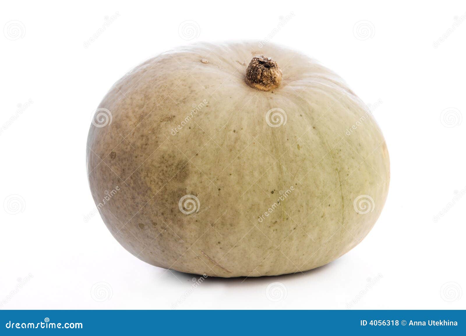 Pumpkin isolated on white stock photo. Image of stem, tasty - 4056318