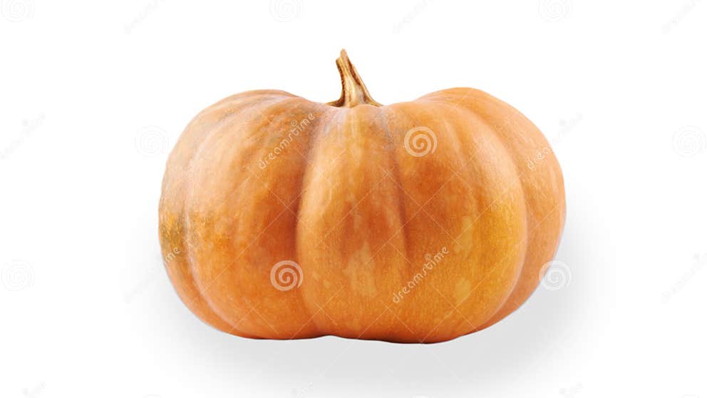 Pumpkin Isolated on White Background. Medium Size Stock Photo - Image ...